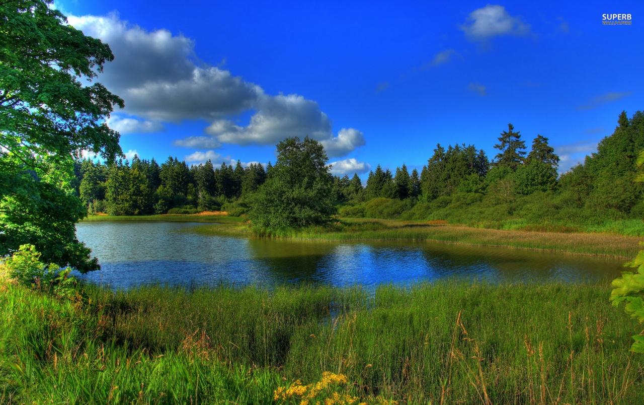 Summer River Wallpapers - Wallpaper Cave