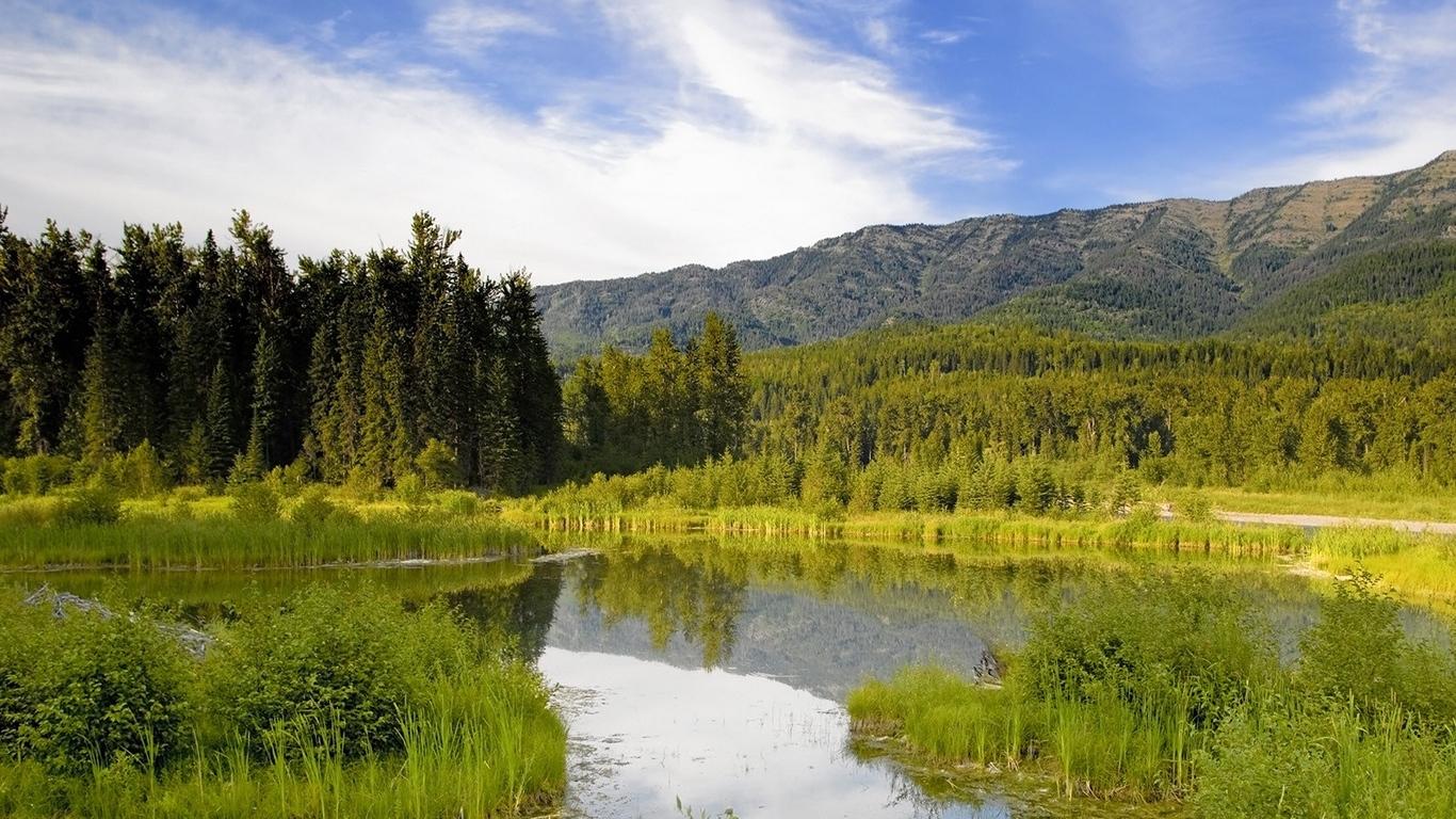 Summer River Wallpapers - Wallpaper Cave