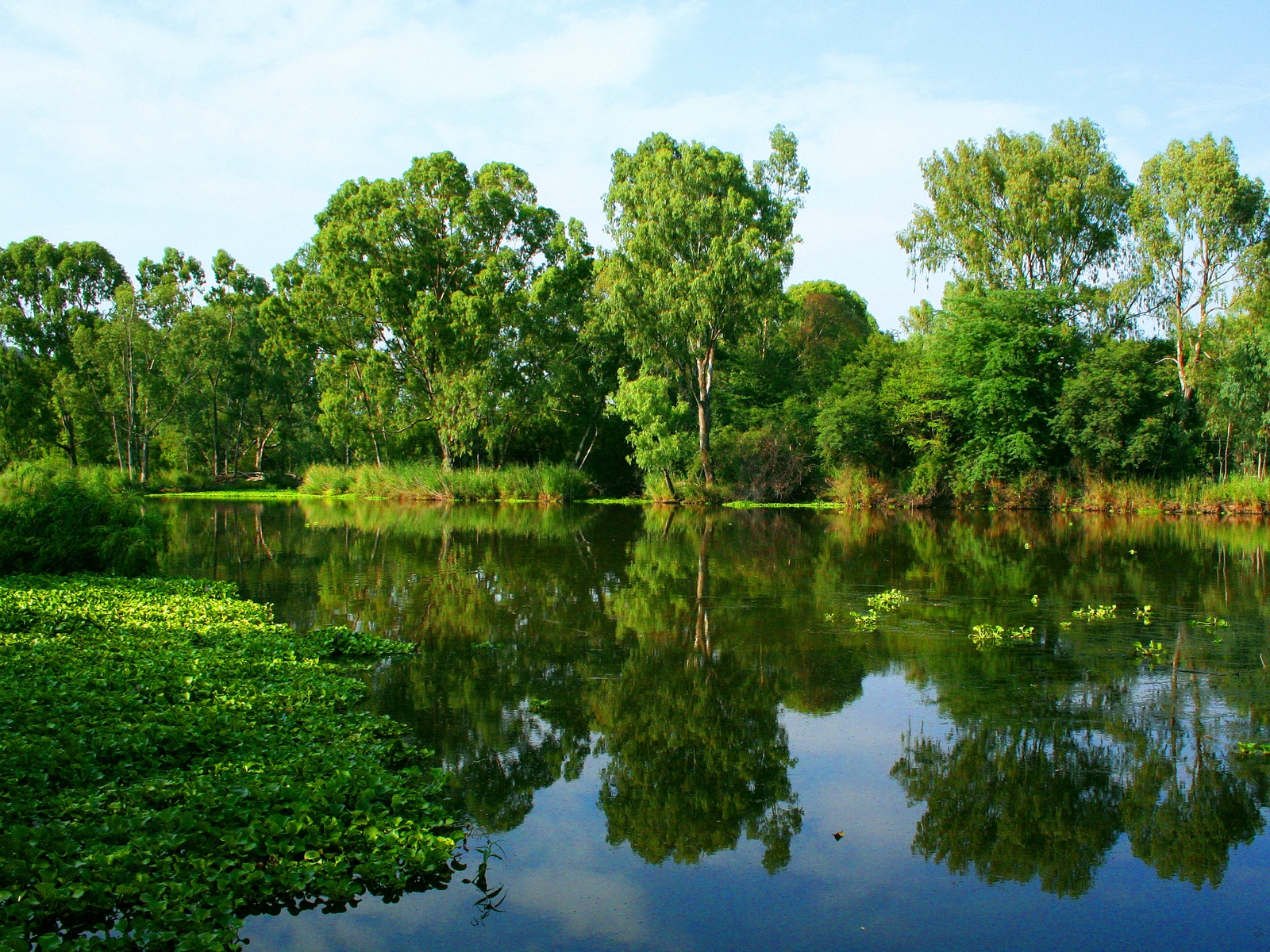 Summer River Wallpapers - Wallpaper Cave