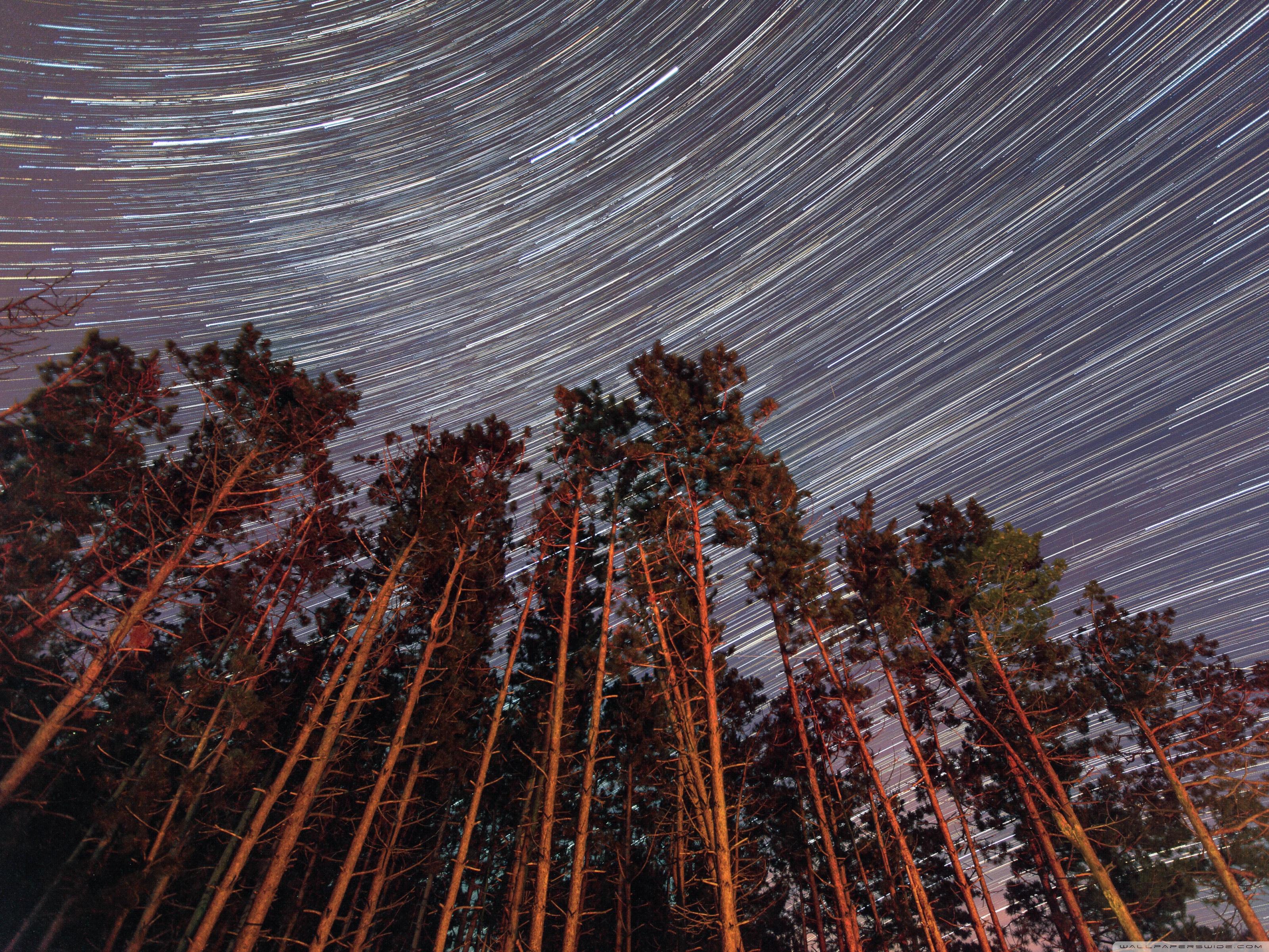 Tree Night Star Trail Wallpapers - Wallpaper Cave
