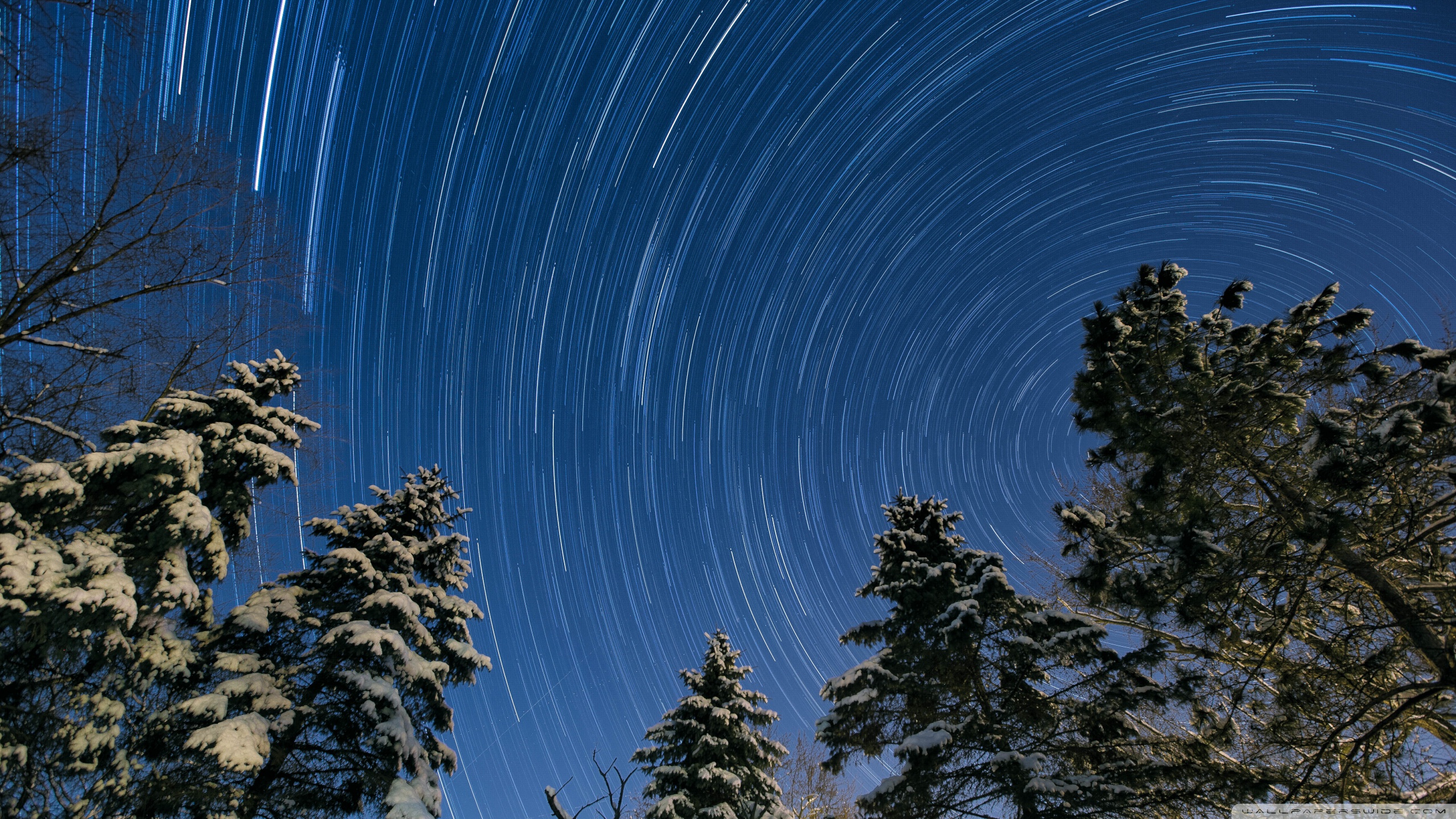 Tree Night Star Trail Wallpapers - Wallpaper Cave