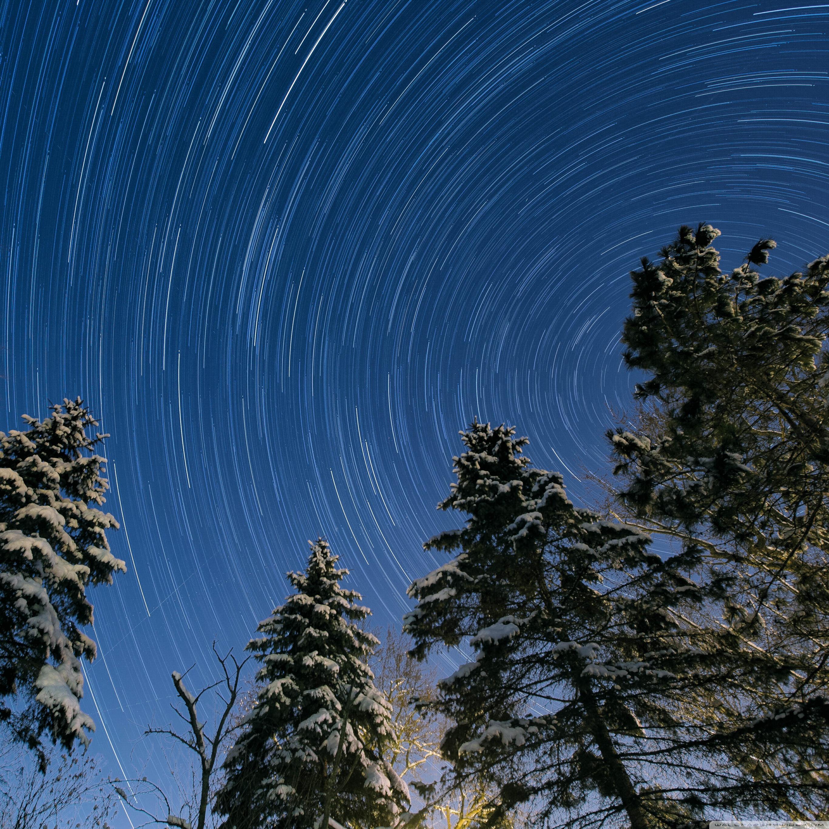 Tree Night Star Trail Wallpapers - Wallpaper Cave