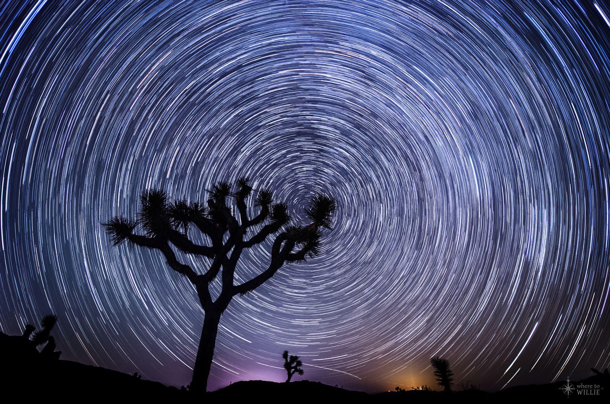 Tree Night Star Trail Wallpapers - Wallpaper Cave