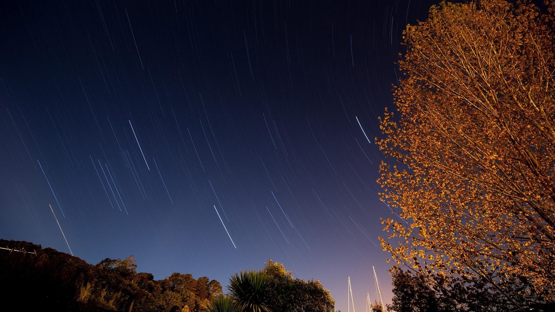 Tree Night Star Trail Wallpapers - Wallpaper Cave