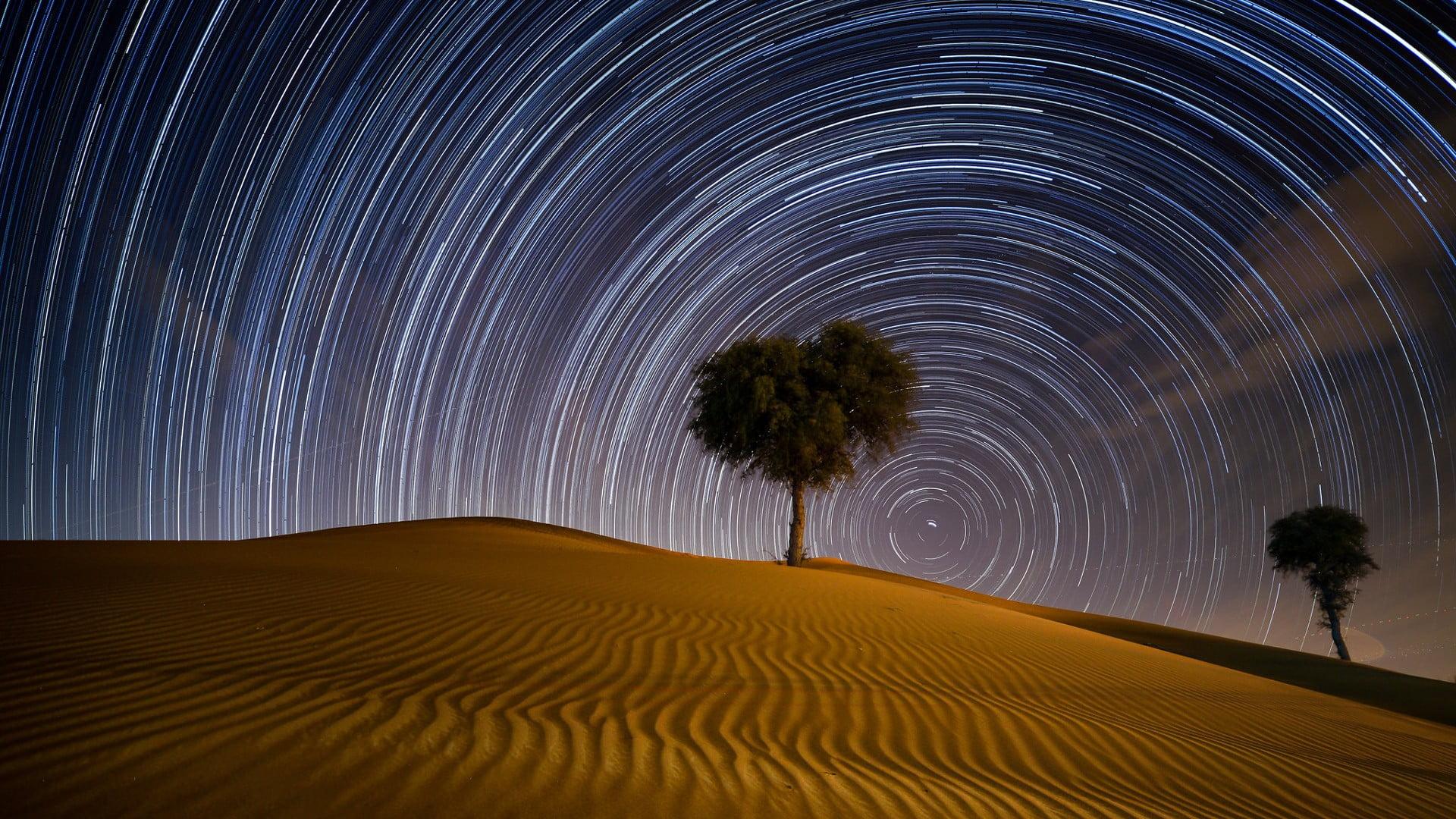 Tree Night Star Trail Wallpapers - Wallpaper Cave