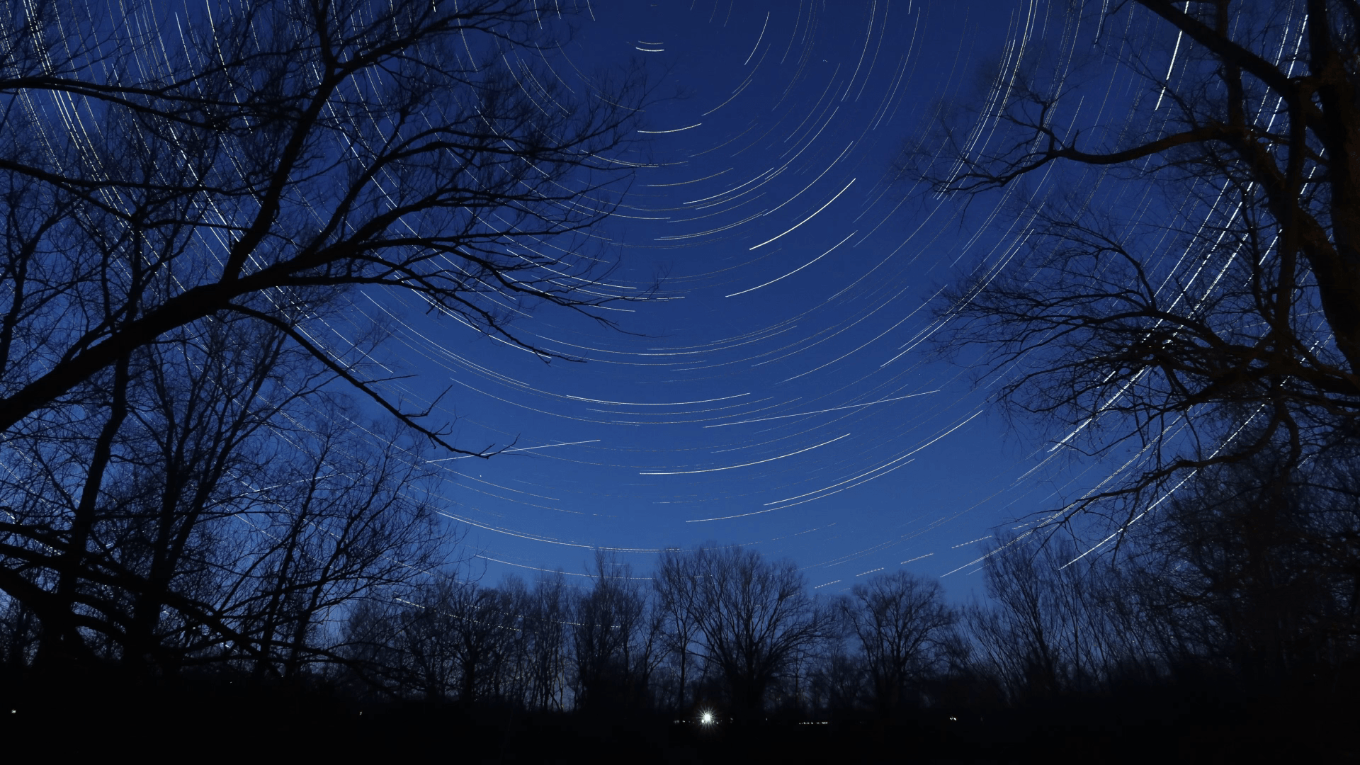 Tree Night Star Trail Wallpapers - Wallpaper Cave