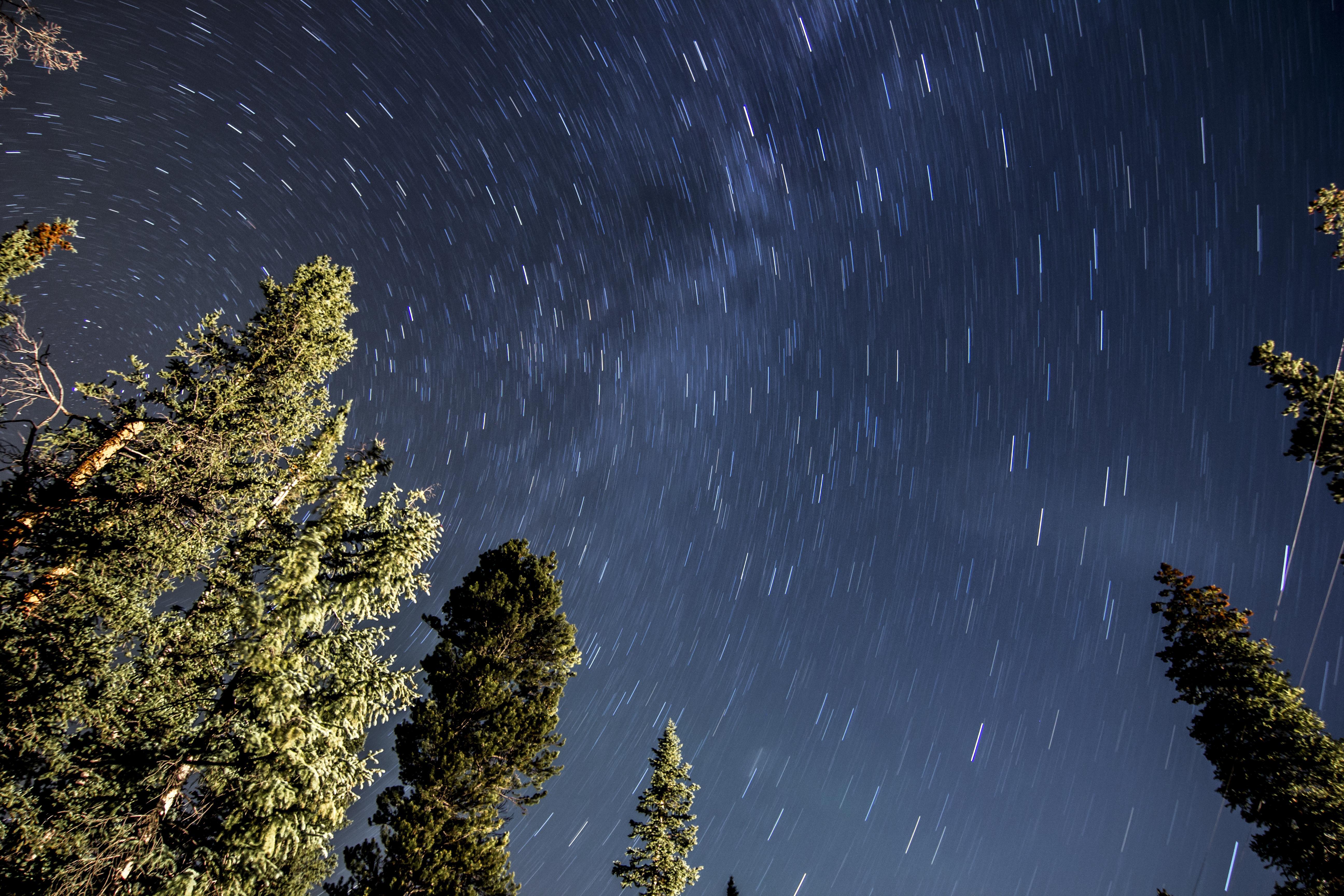 Tree Night Star Trail Wallpapers - Wallpaper Cave