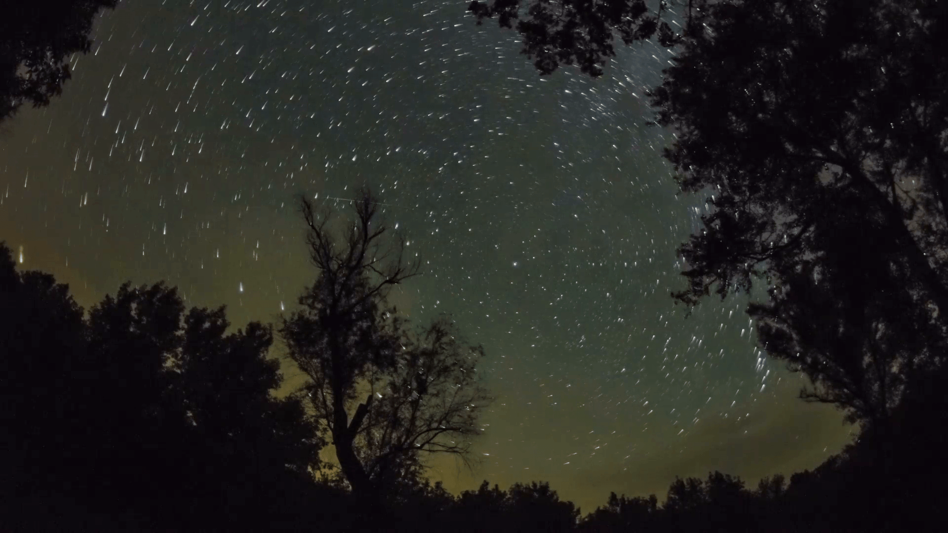 Tree Night Star Trail Wallpapers - Wallpaper Cave