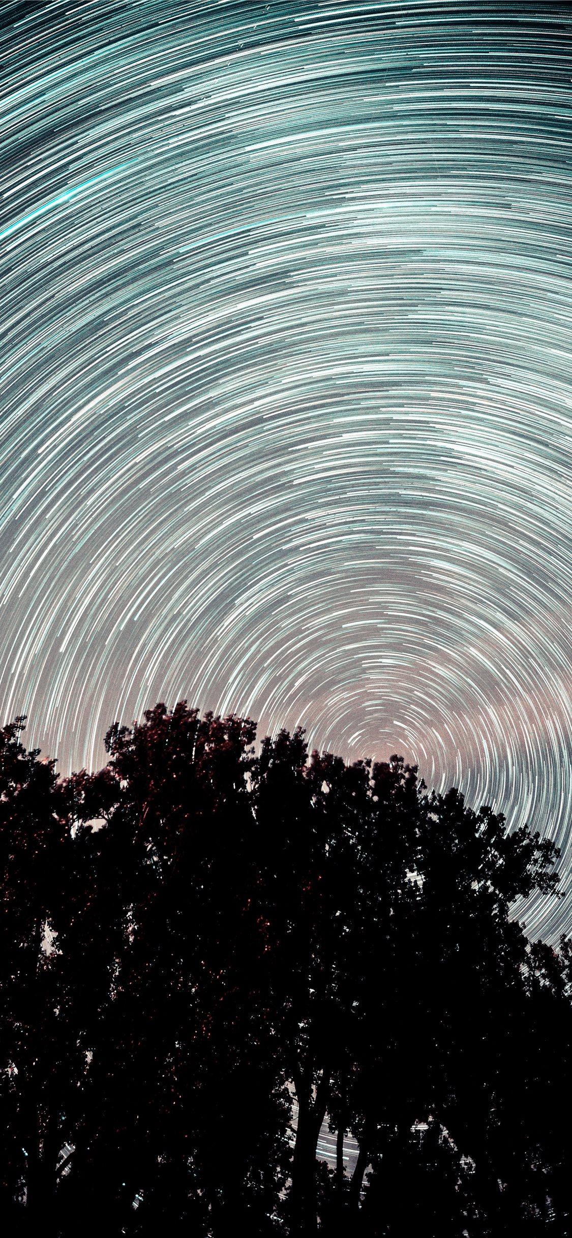 Tree Night Star Trail Wallpapers - Wallpaper Cave