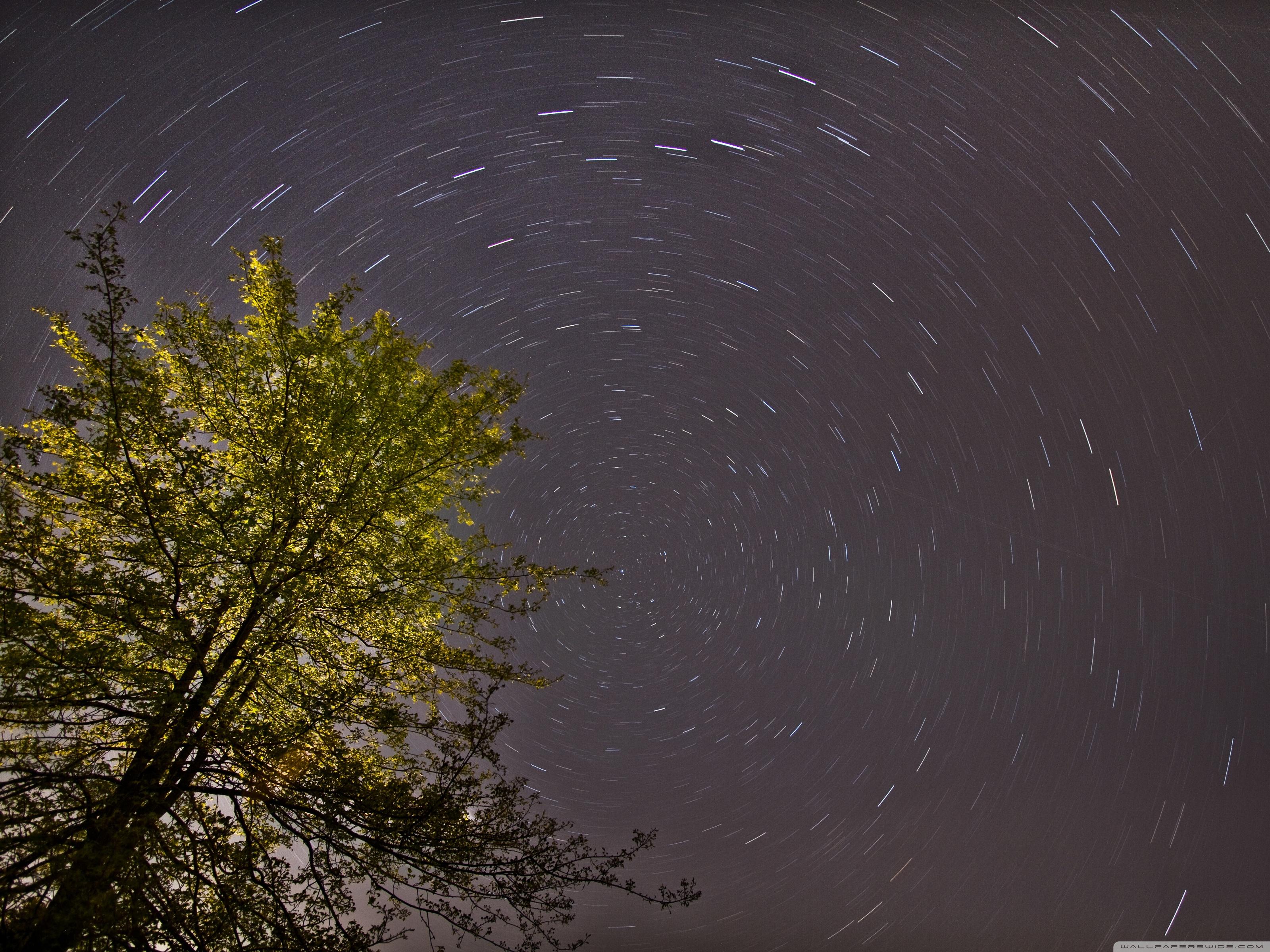 Tree Night Star Trail Wallpapers - Wallpaper Cave
