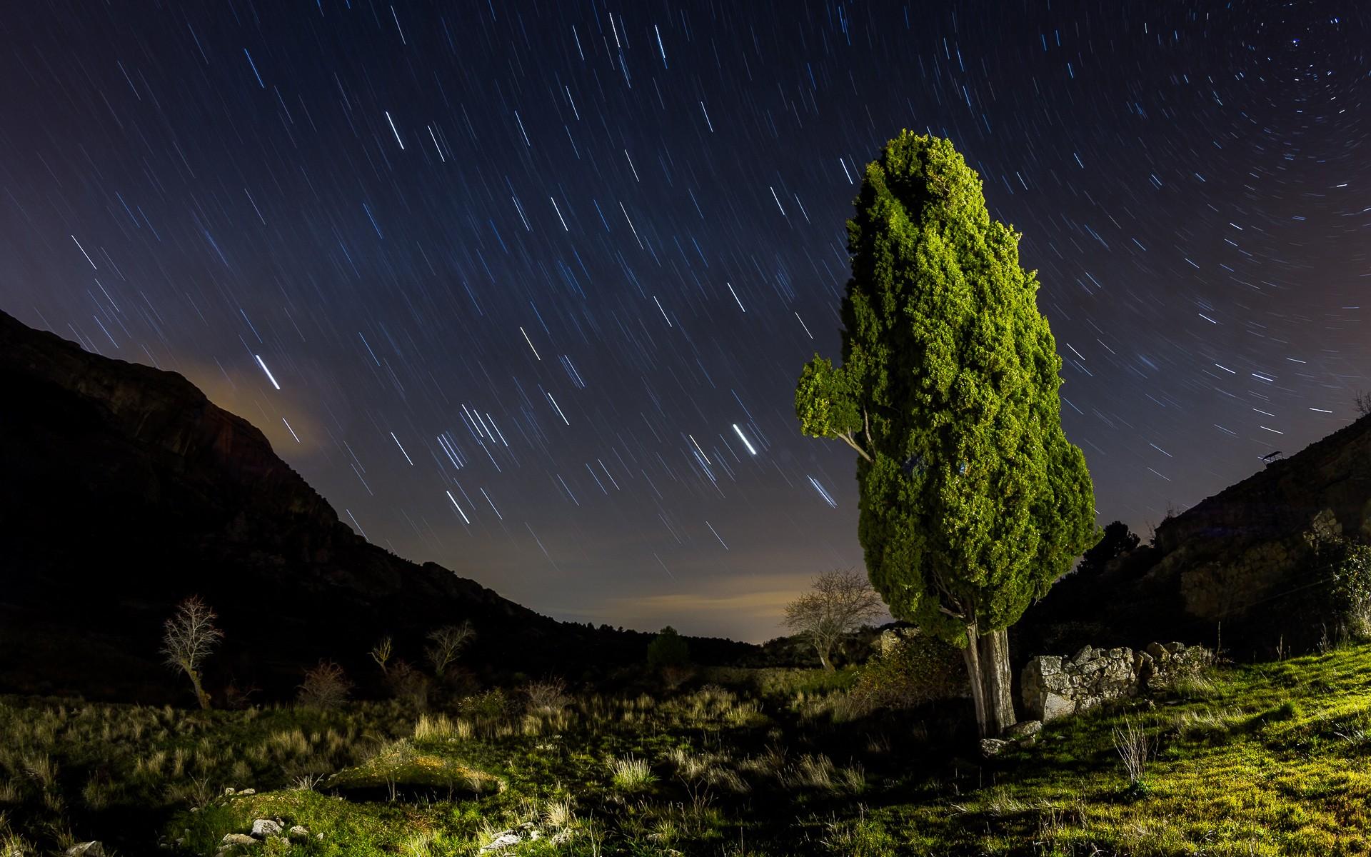 Tree Night Star Trail Wallpapers - Wallpaper Cave