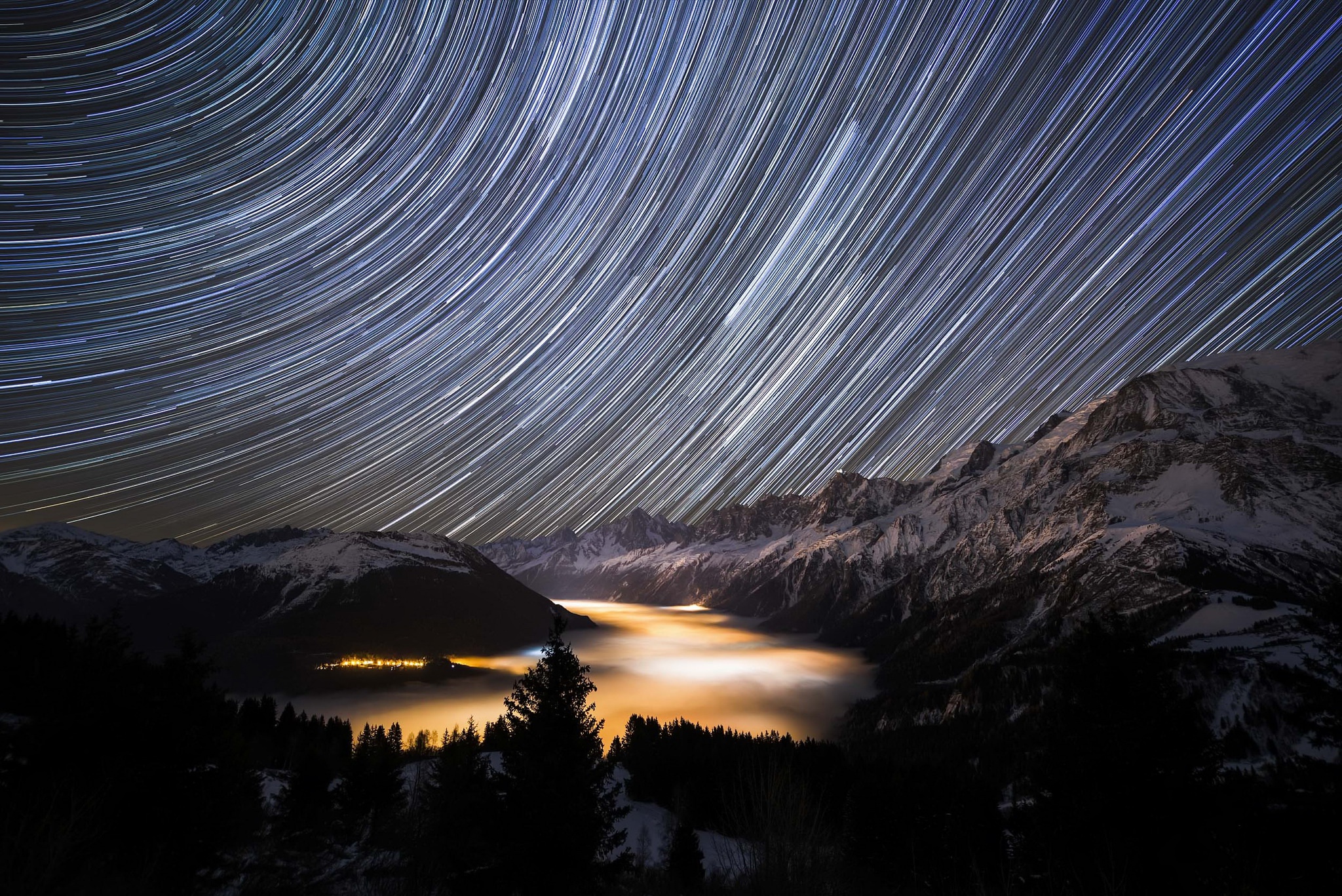 Tree Night Star Trail Wallpapers - Wallpaper Cave