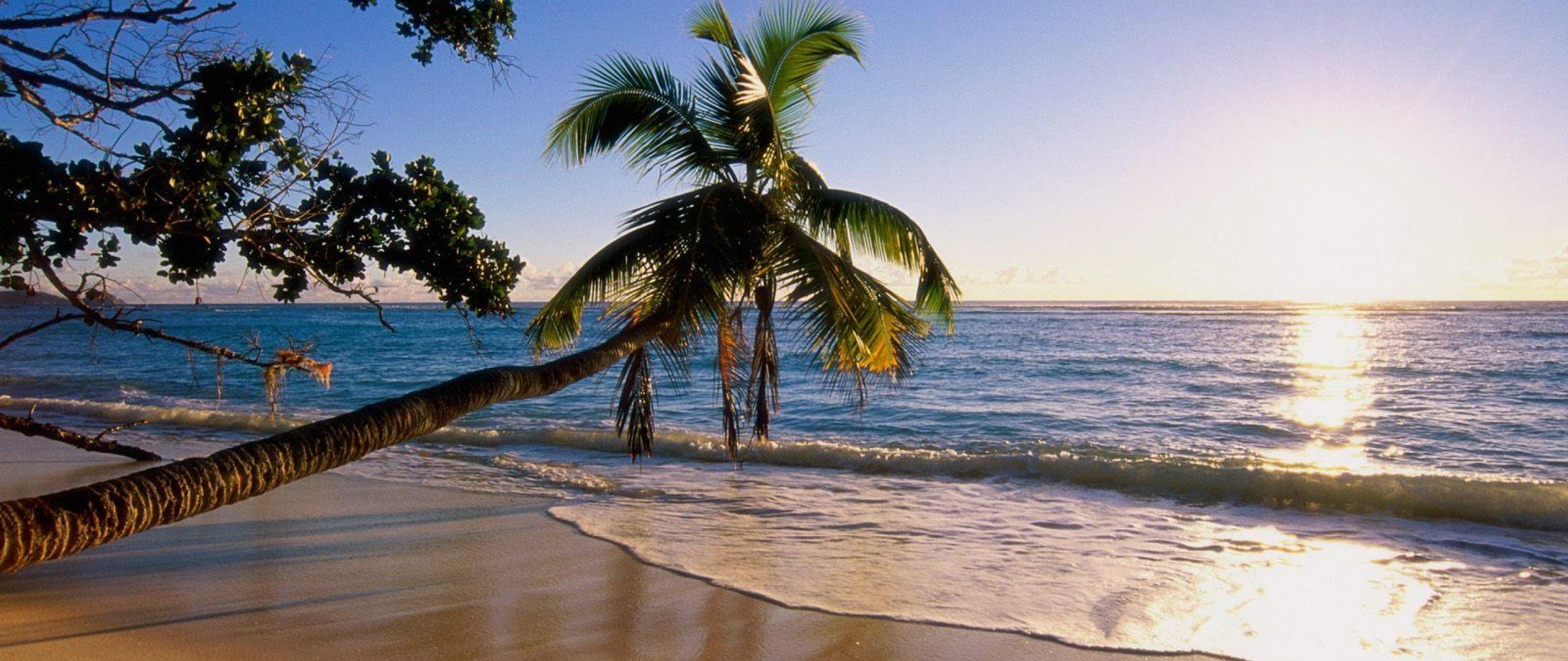 Earth Beach HD Wallpapers - Wallpaper Cave