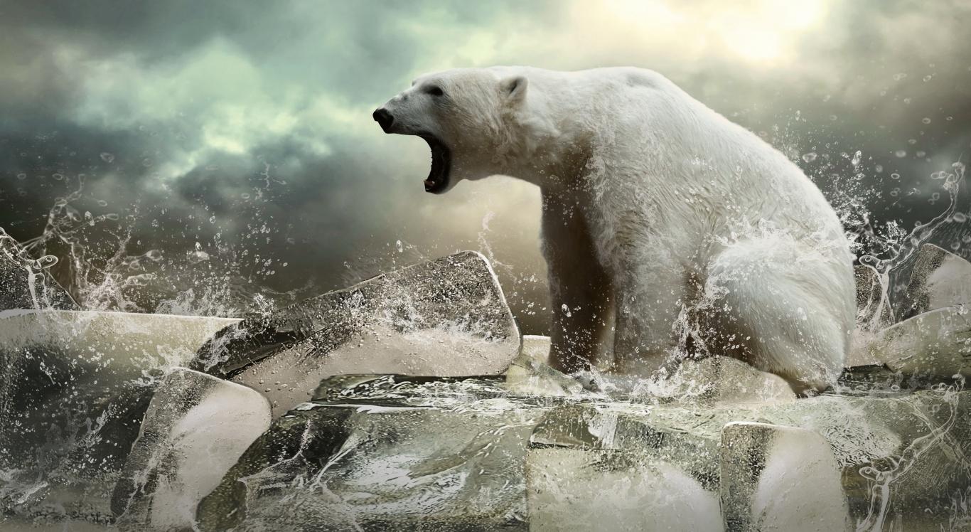 Polar Wallpapers - Wallpaper Cave