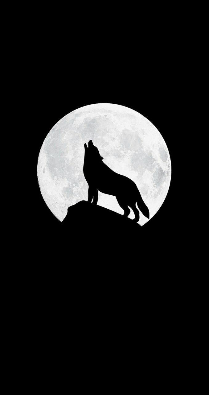 Wolf Howling Minimalist Wallpapers - Wallpaper Cave