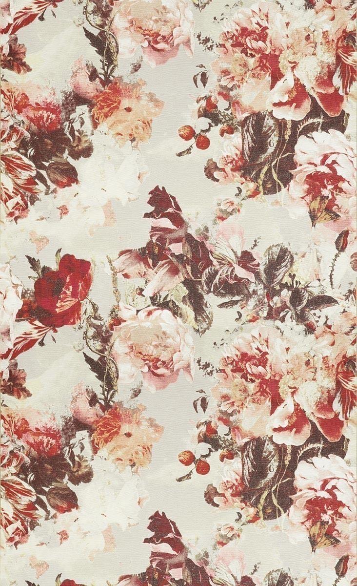 Flamboyant Wallpapers - Wallpaper Cave