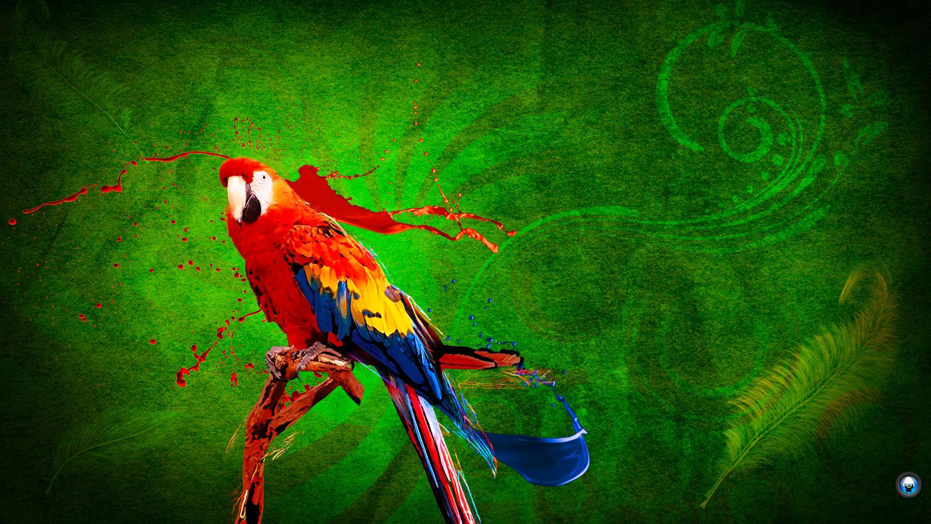 Colorful Parrot Wallpapers - Wallpaper Cave