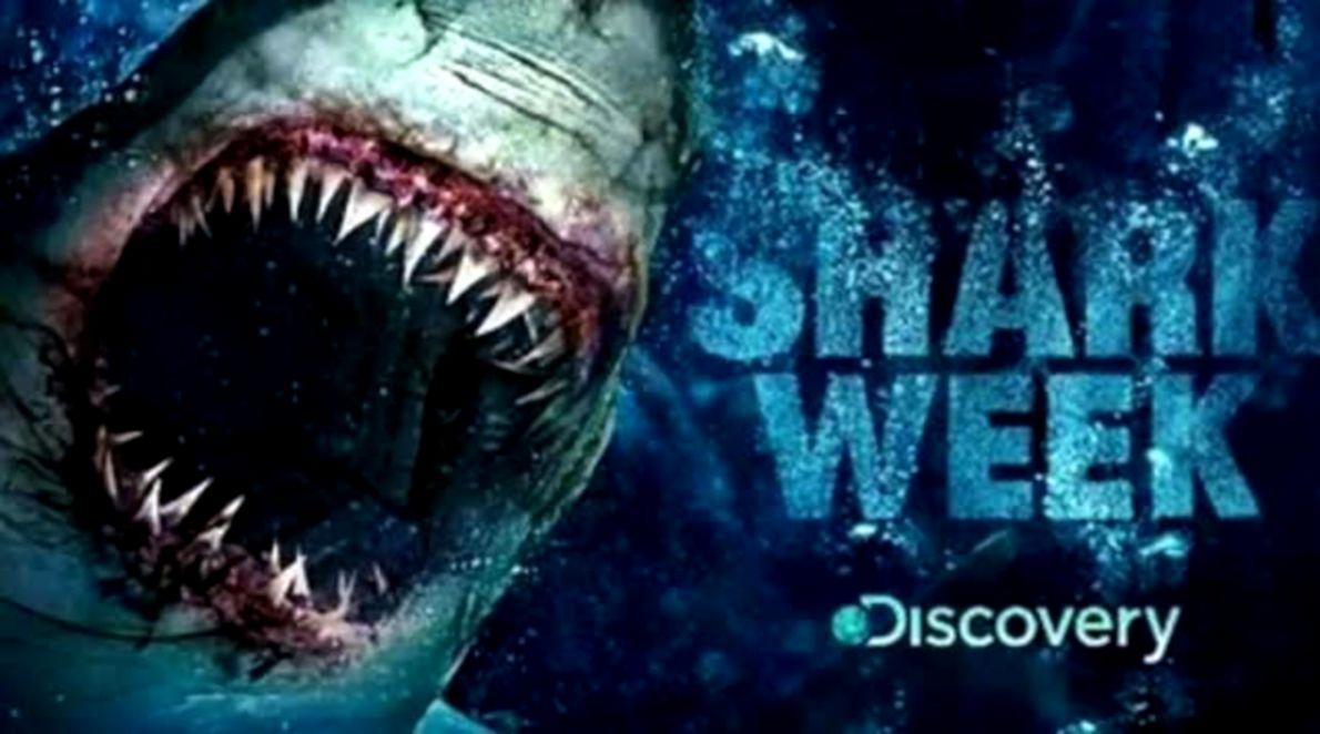 Shark Week Wallpapers - Wallpaper Cave