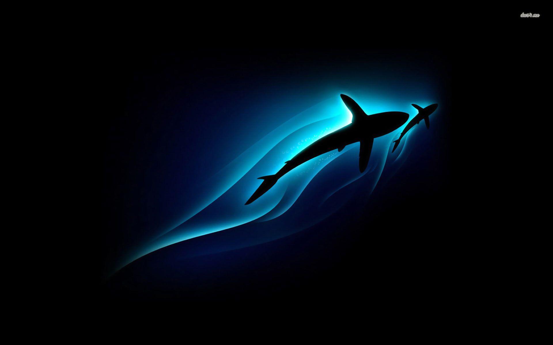 Shark Week Wallpapers - Wallpaper Cave