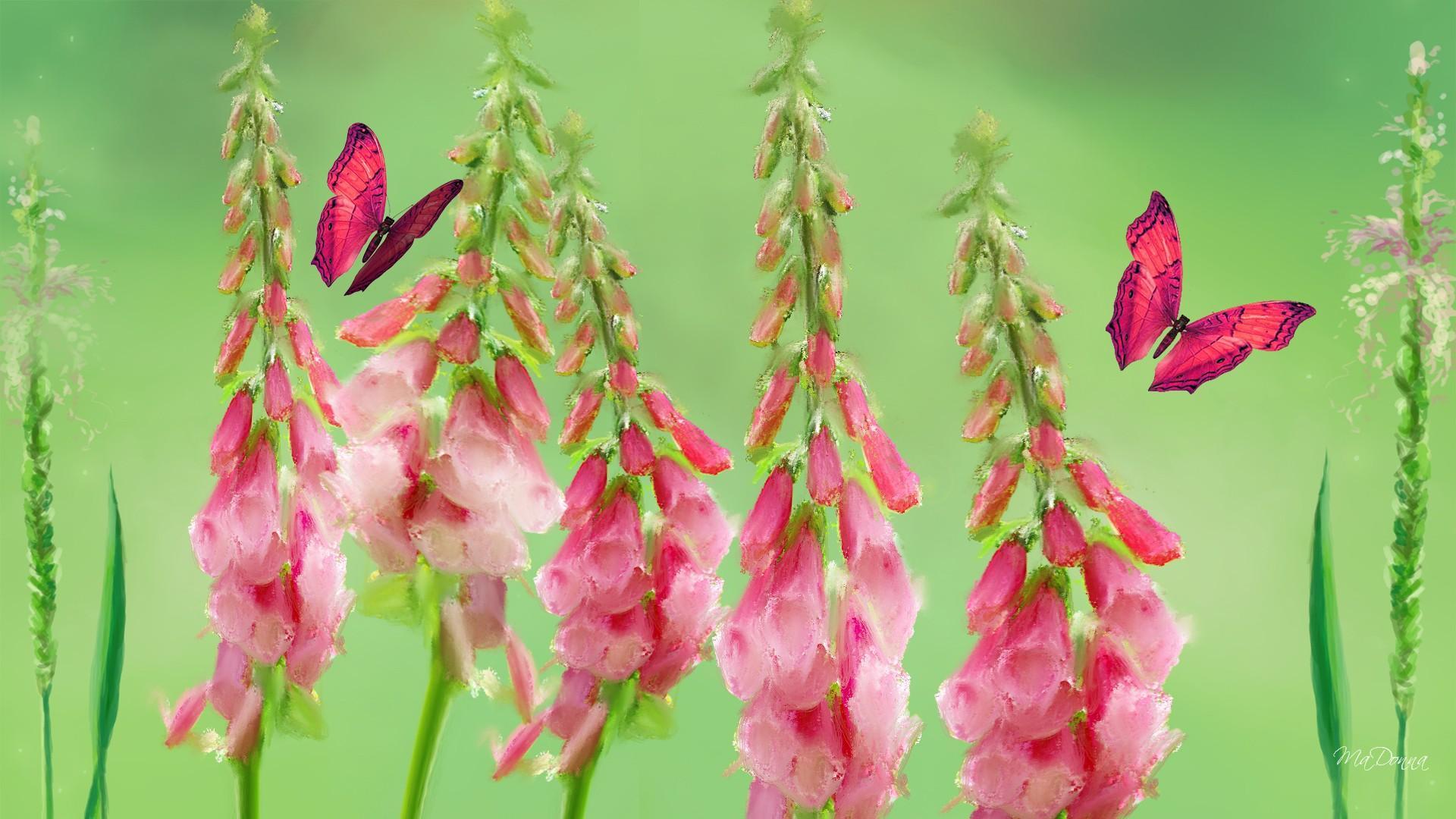 Foxgloves Wallpapers - Wallpaper Cave