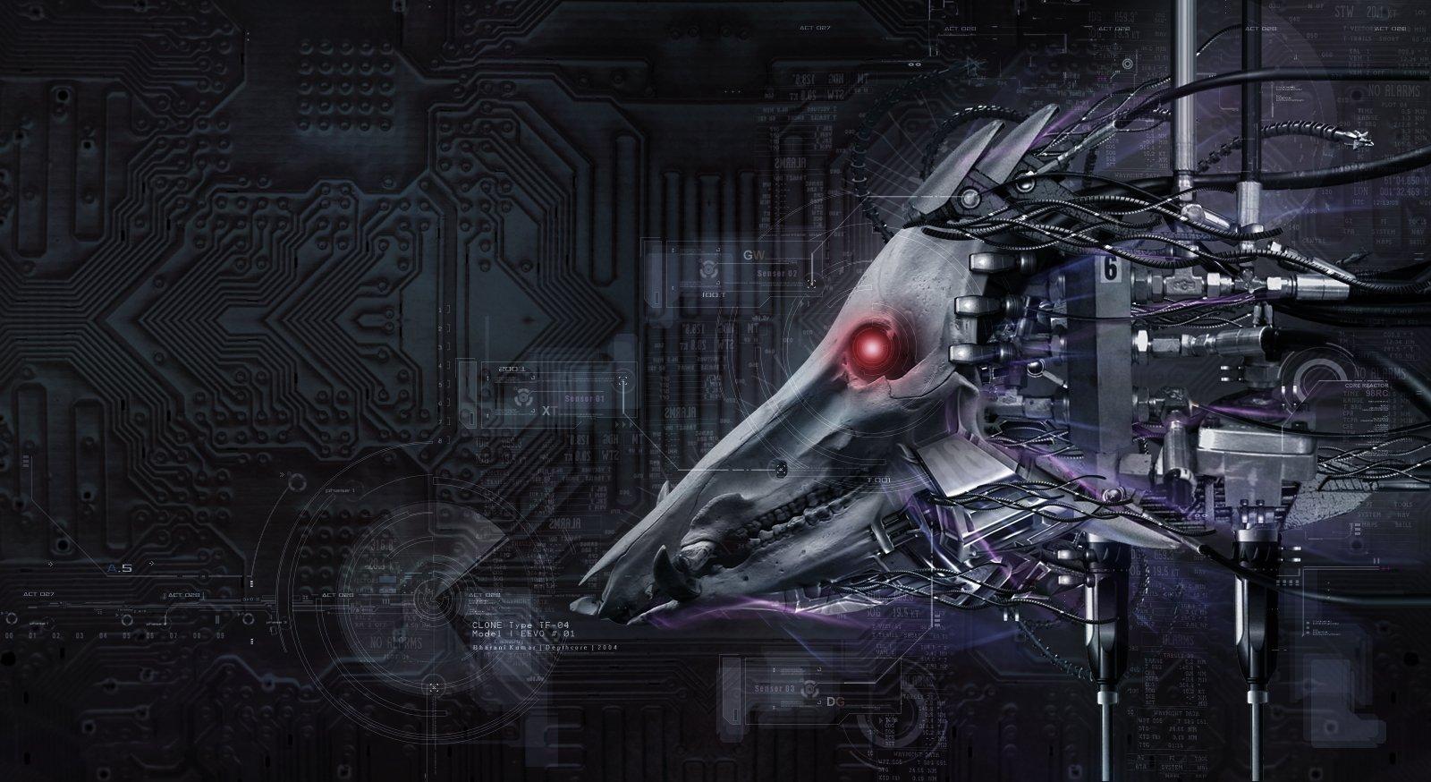 Cyborg Skull Wallpapers - Wallpaper Cave