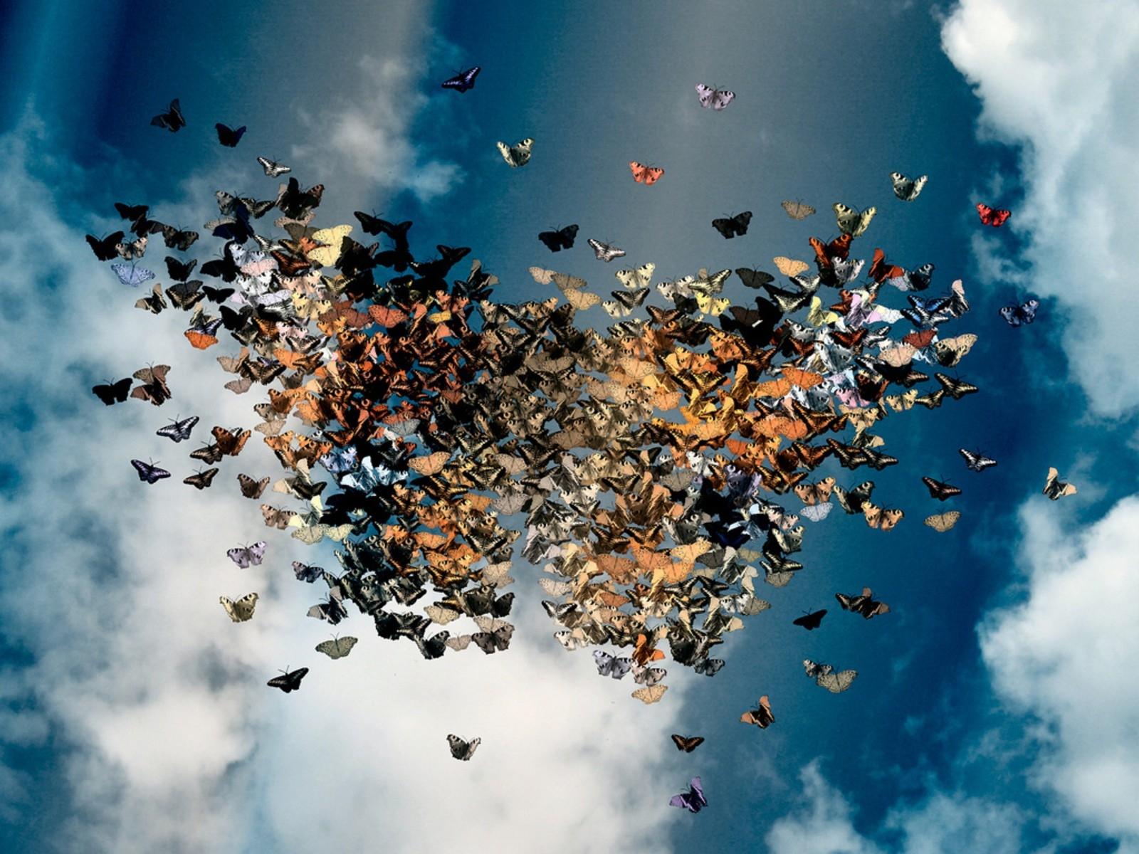 Swarm Wallpapers - Wallpaper Cave