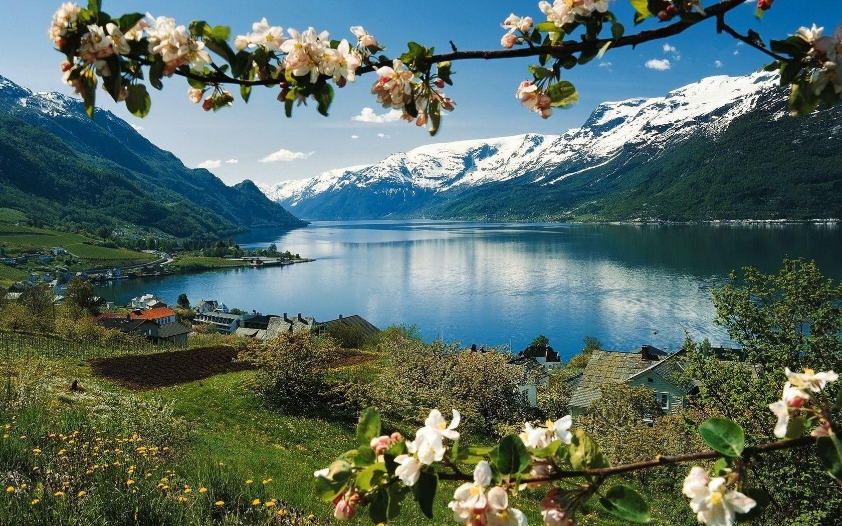 Landscape With Mountain, Lake And Flowers Wallpapers - Wallpaper Cave