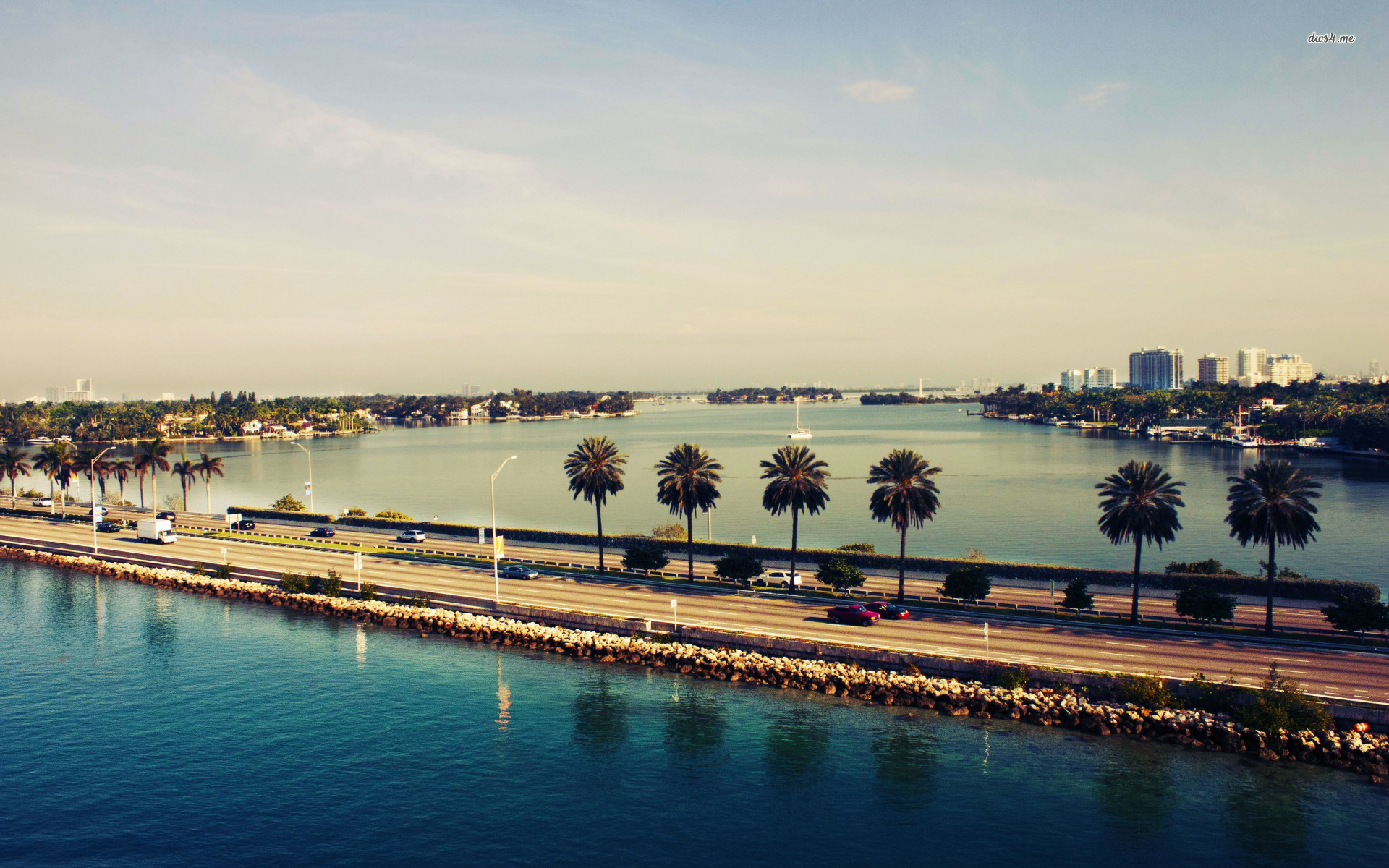 Miami Florida Palm Trees And Skyline Wallpapers - Wallpaper Cave