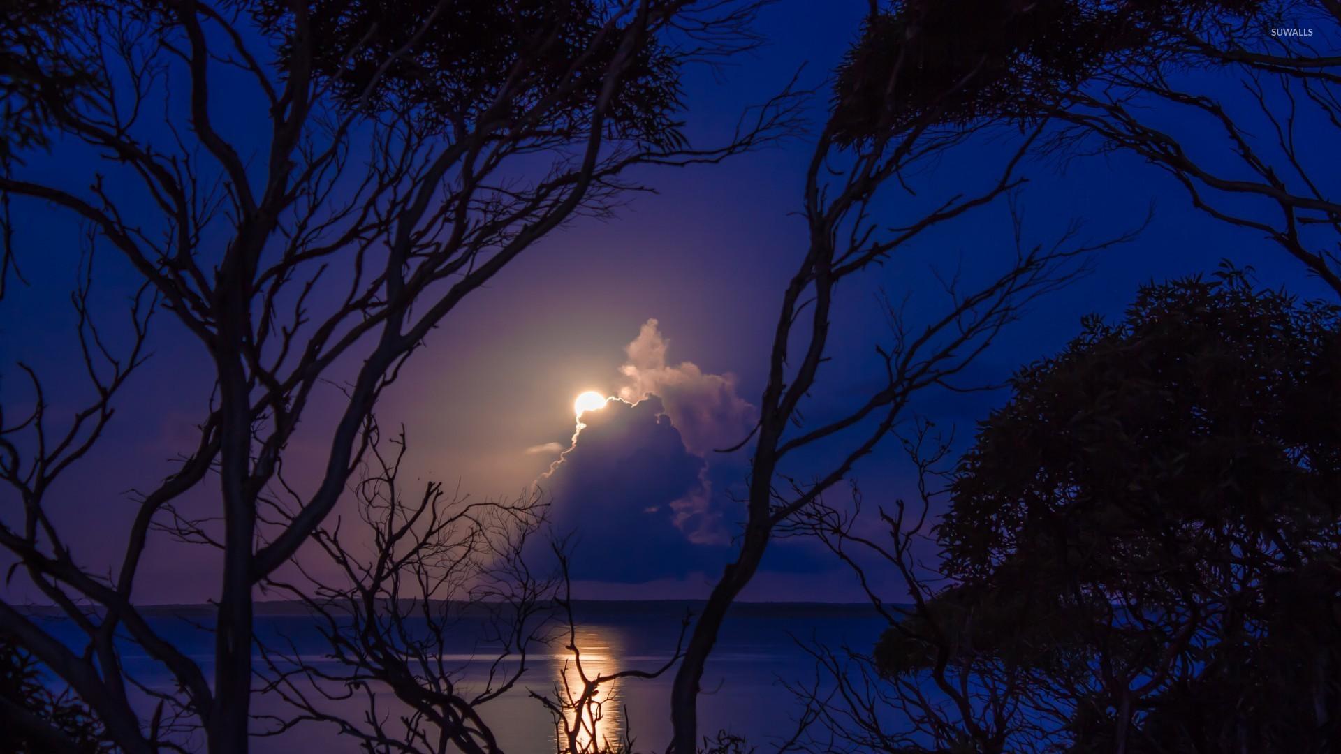 Hiding Sun Wallpapers - Wallpaper Cave