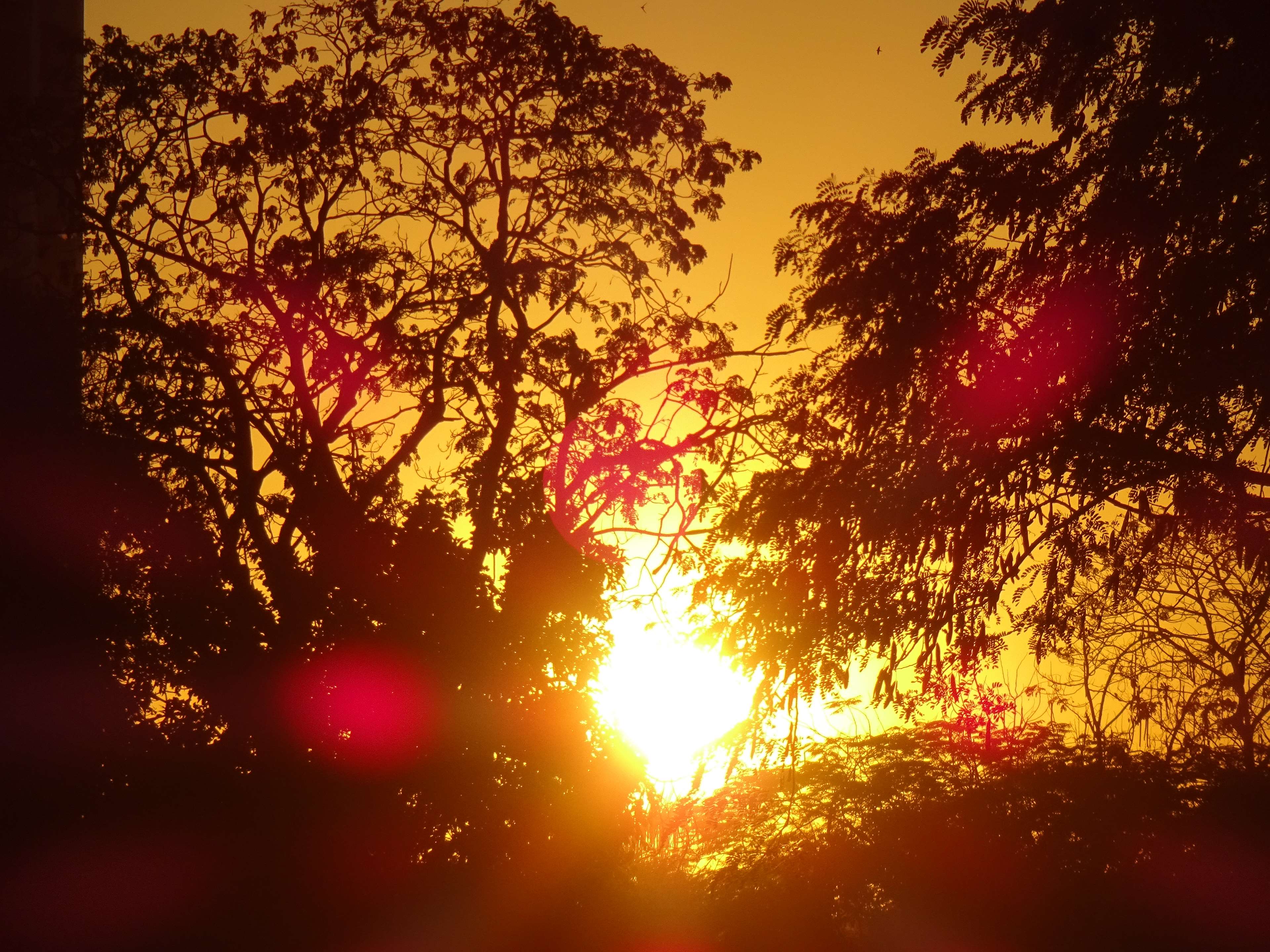 Hiding Sun Wallpapers - Wallpaper Cave