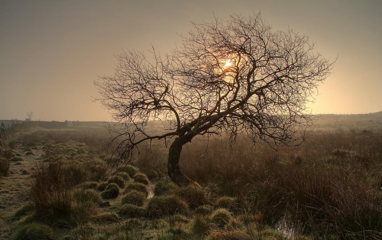 Hiding Sun Wallpapers - Wallpaper Cave