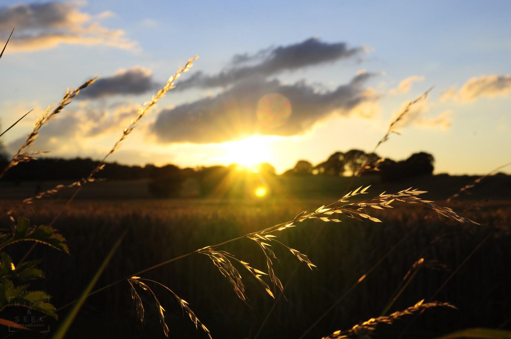 Hiding Sun Wallpapers - Wallpaper Cave