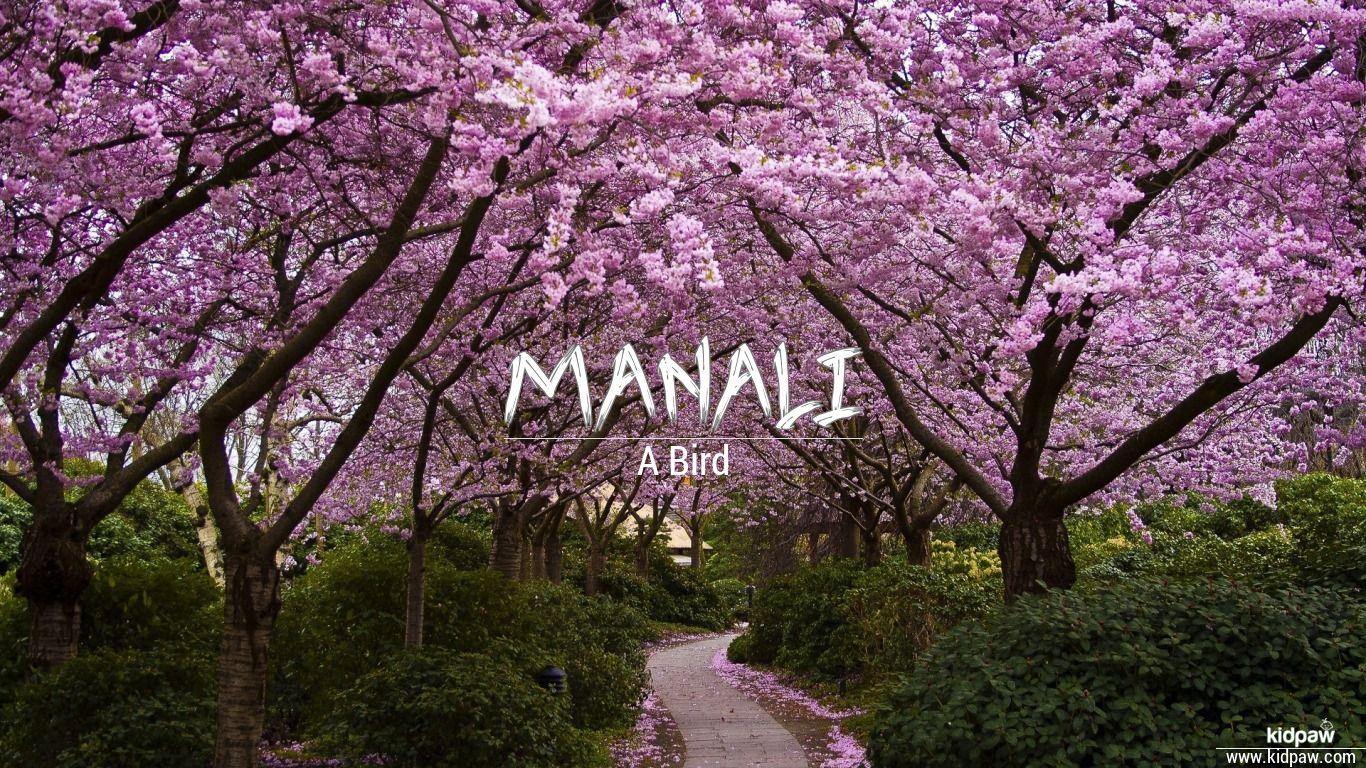 Manali Wallpapers - Wallpaper Cave
