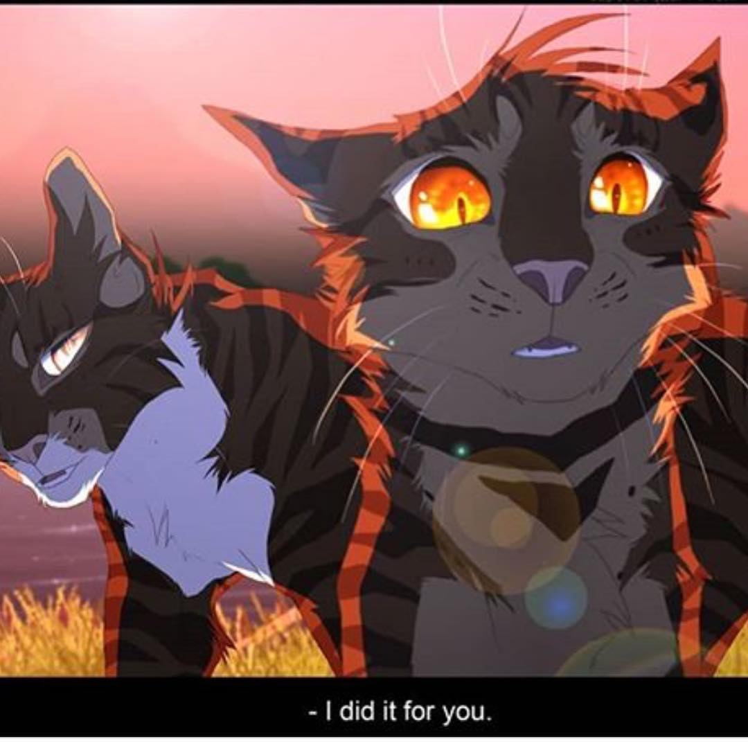 Hawkfrost Wallpapers - Wallpaper Cave