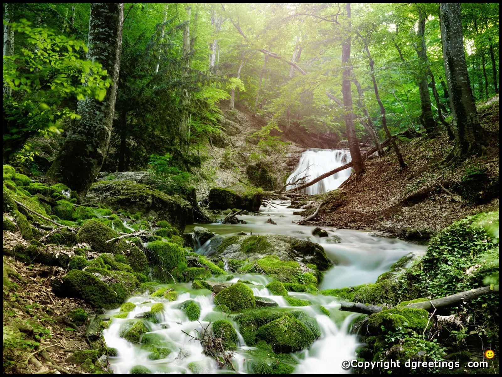 Environmental Wallpapers - Wallpaper Cave