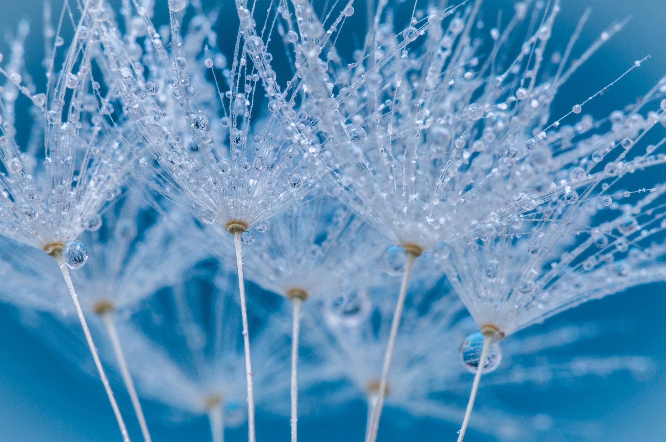 Transparent Water Wallpapers - Wallpaper Cave