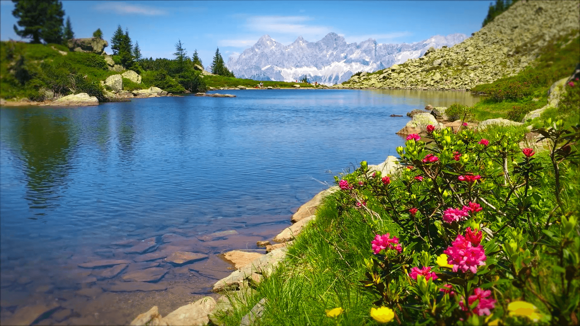 Relax And Enjoy The View Wallpapers - Wallpaper Cave