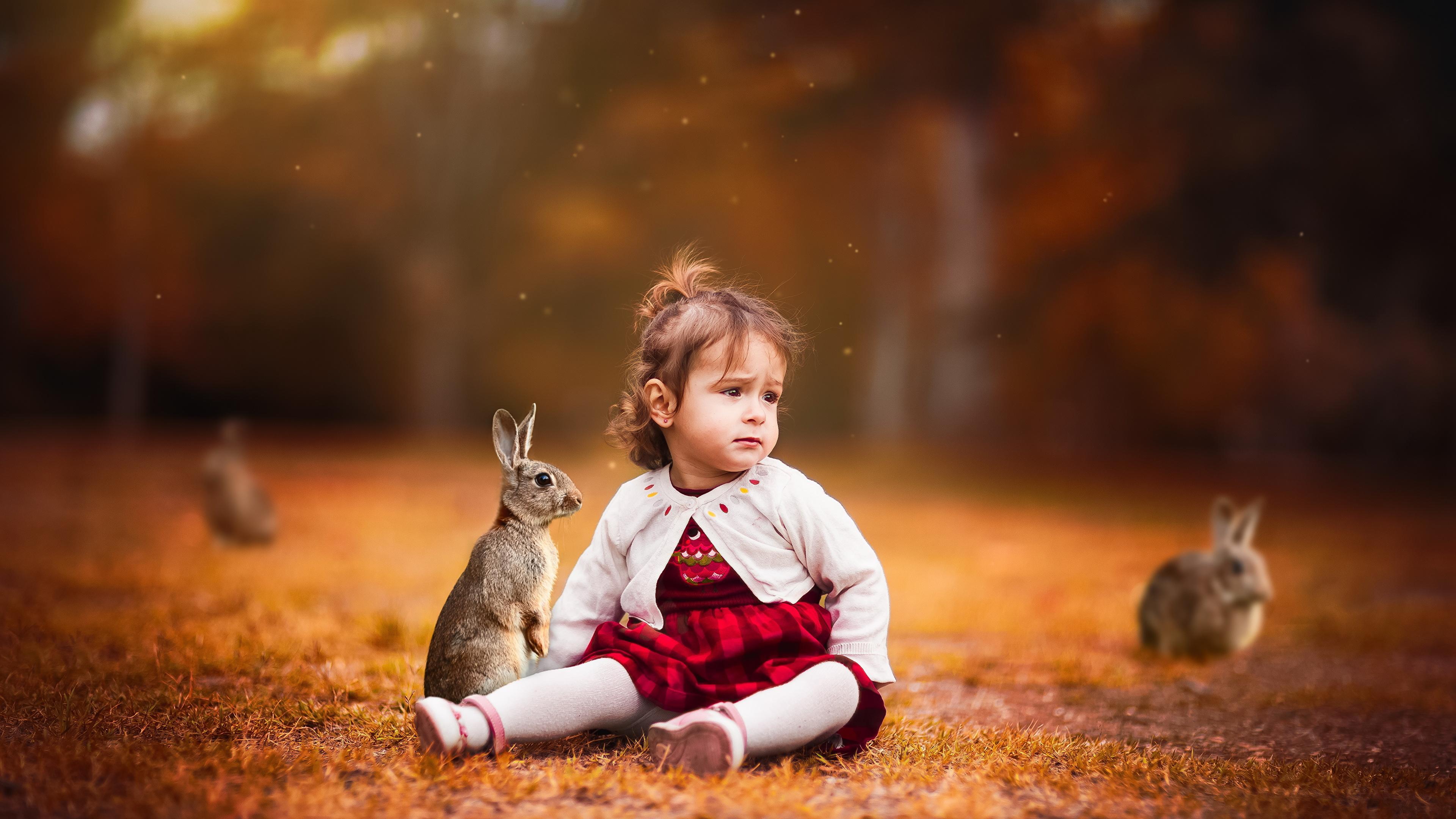 Girl With Rabbit Wallpapers - Wallpaper Cave