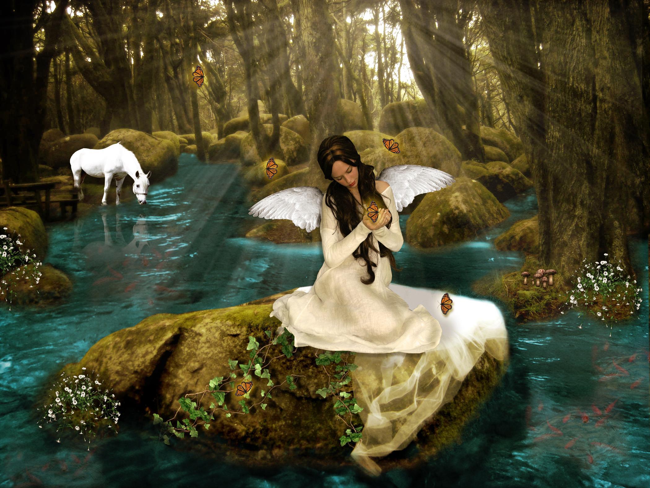 Dreamy Tree Wallpapers - Wallpaper Cave