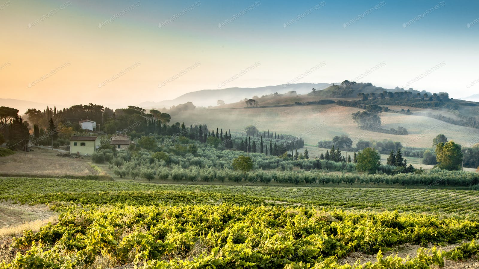 Tuscan Vineyard Village Wallpapers - Wallpaper Cave