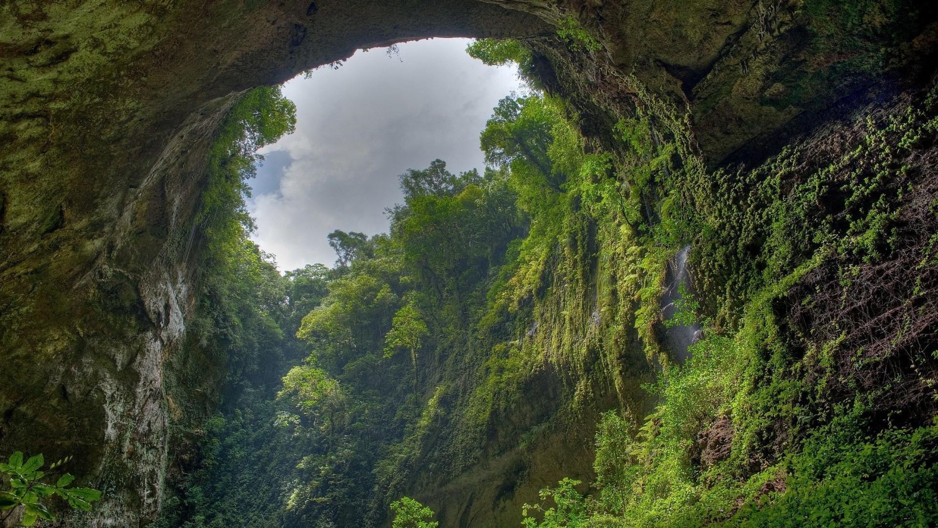 Amazon Forest Wallpapers - Wallpaper Cave