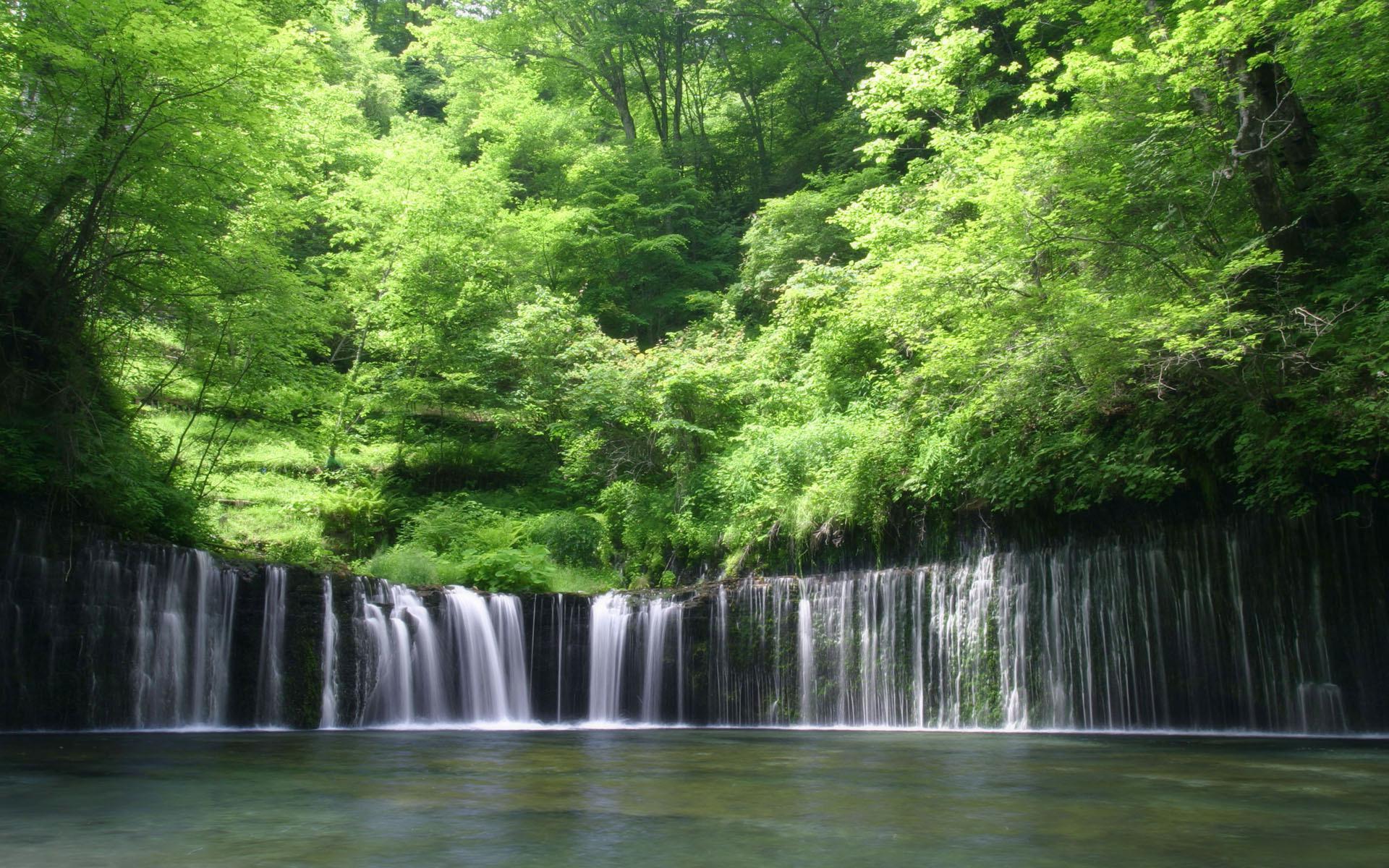 Waterfall Rainforest Wallpapers - Wallpaper Cave