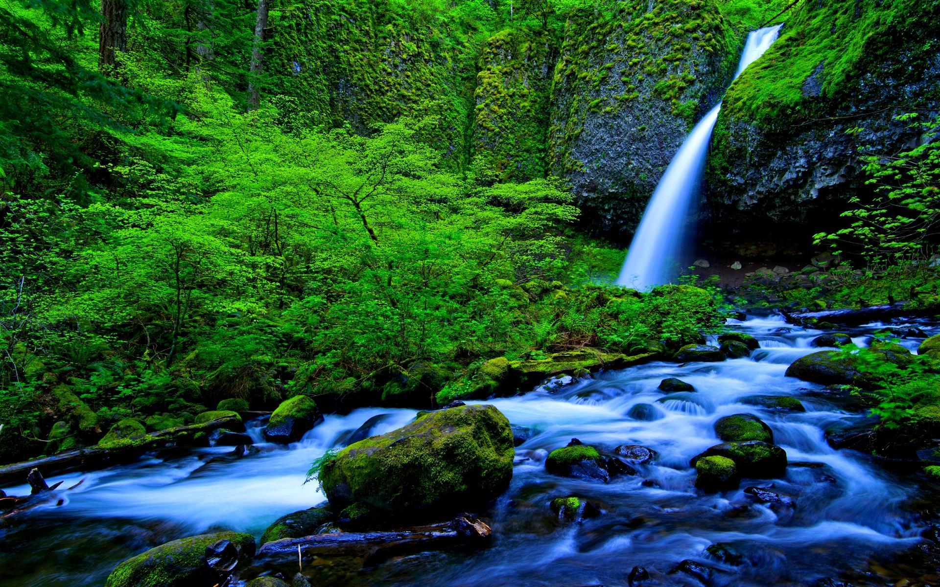 Waterfall Rainforest Wallpapers - Wallpaper Cave