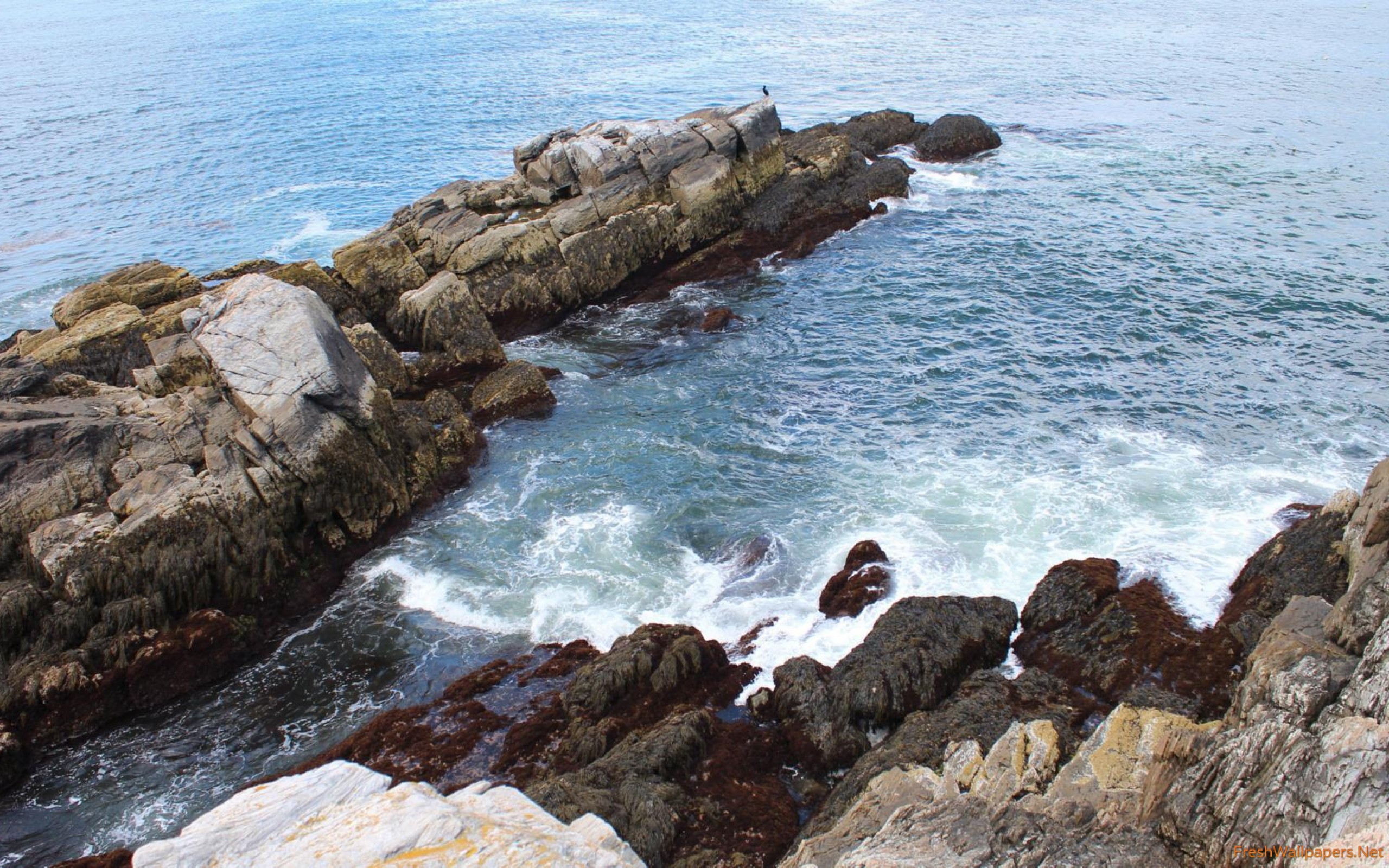 Rocky Shore Wallpapers - Wallpaper Cave