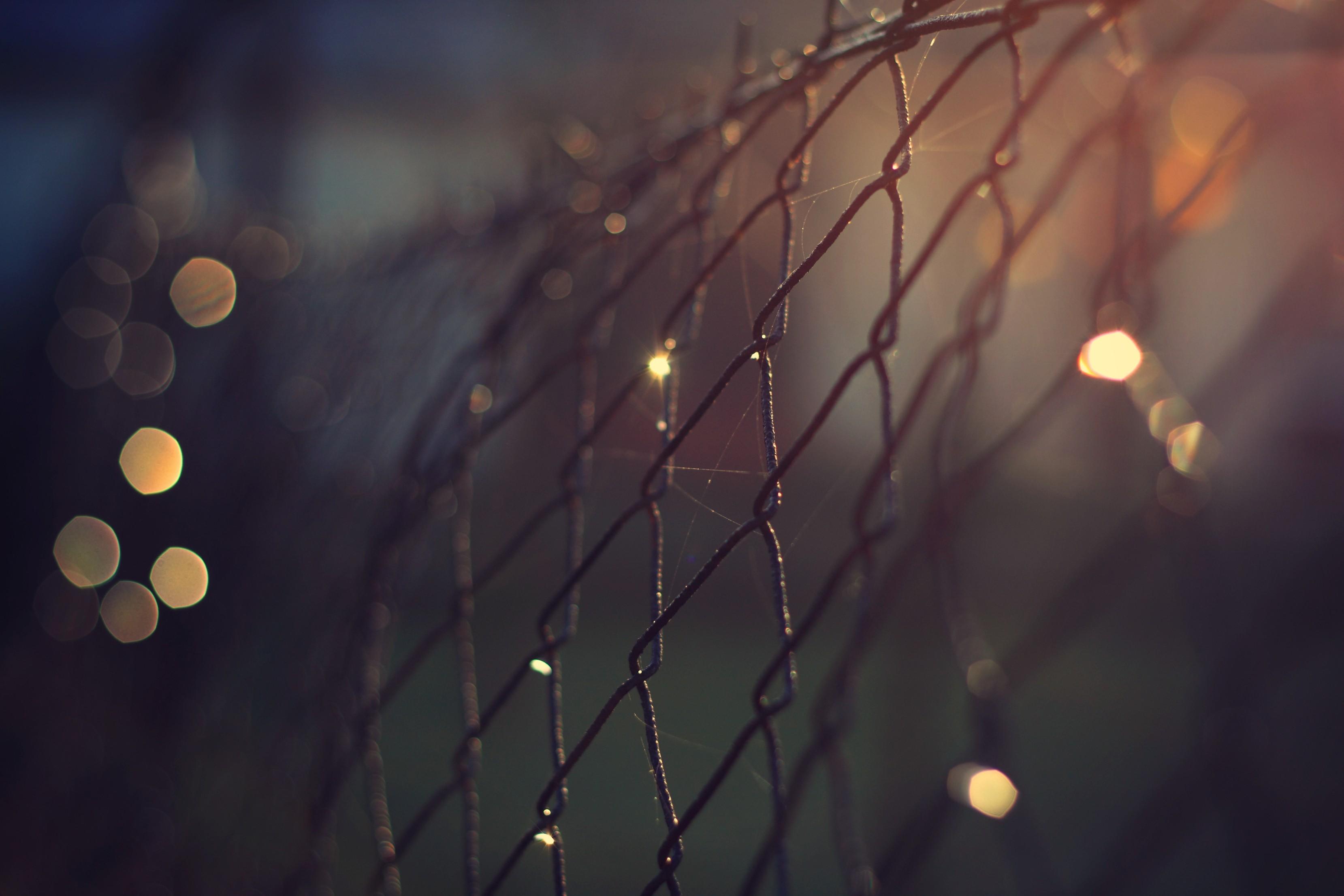 Depth Of Field Wallpapers - Wallpaper Cave