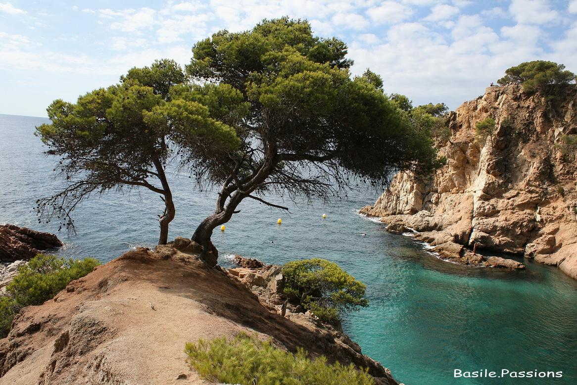 Cala Estreta Palamós Wallpapers - Wallpaper Cave