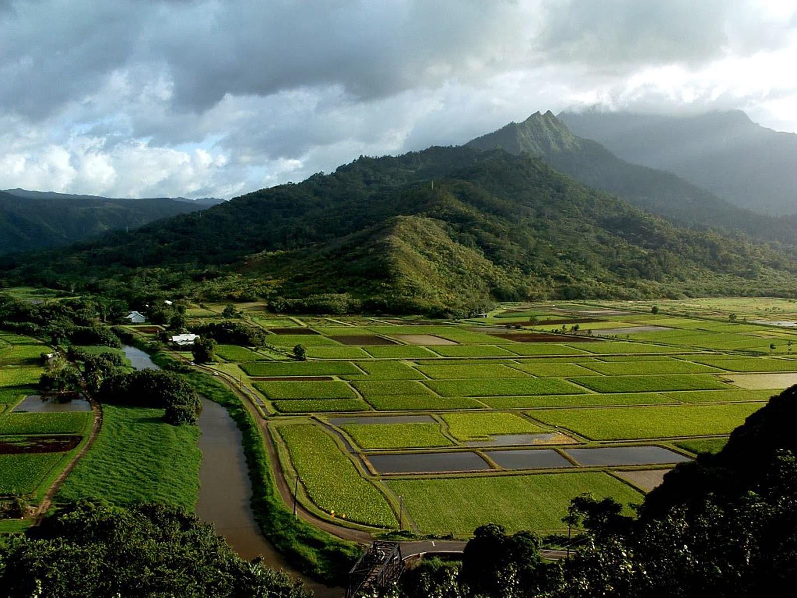 Hanalei Wallpapers - Wallpaper Cave