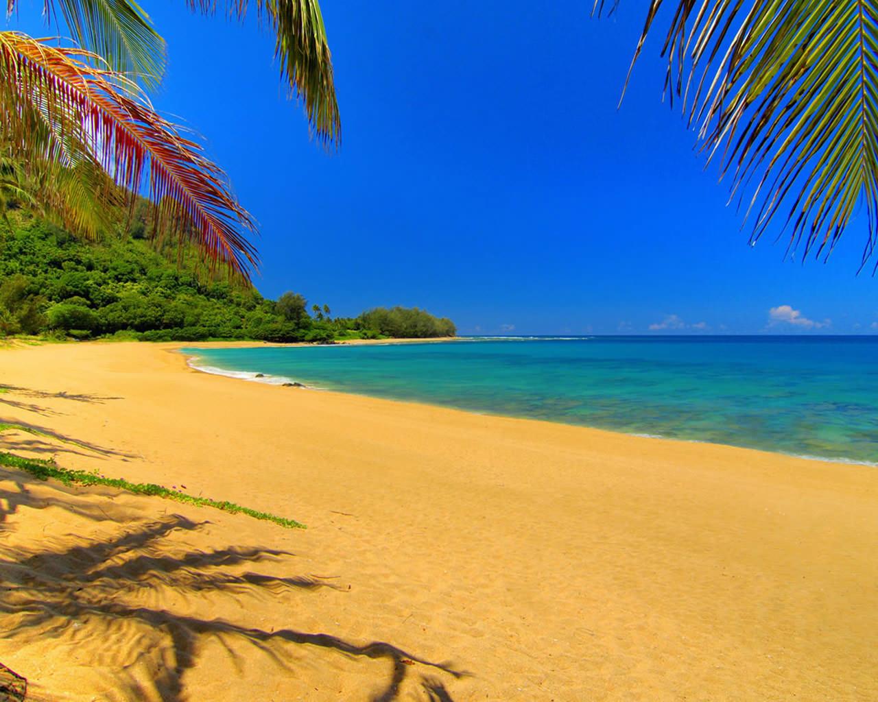 Wonderful Summer Wallpapers - Wallpaper Cave