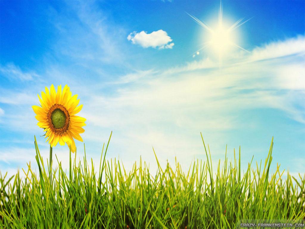 Wonderful Summer Wallpapers - Wallpaper Cave