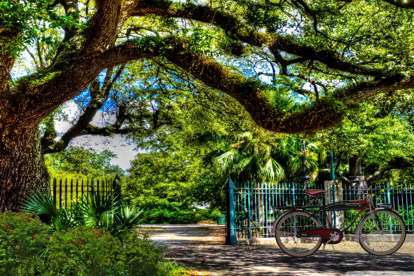 Summer Walkway Wallpapers - Wallpaper Cave